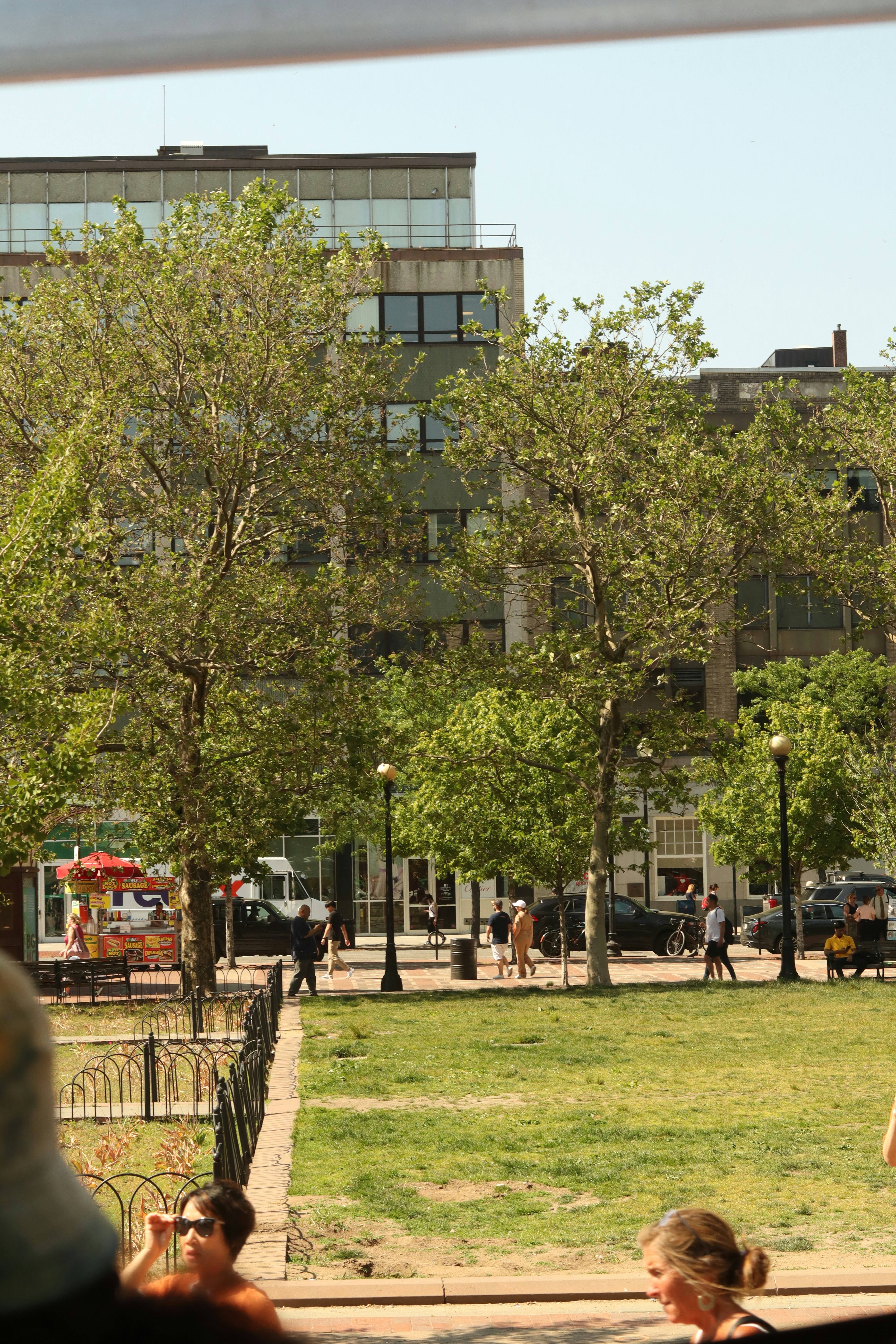 Sunlit City Park: People, Trees, and Modern Architecture