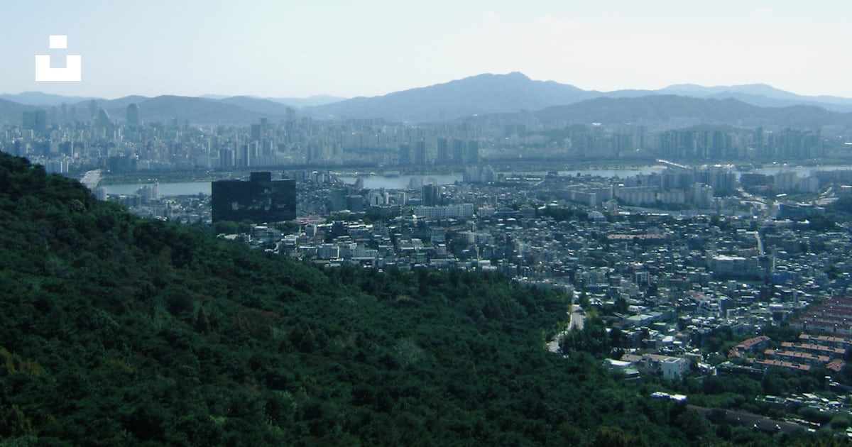 언덕에서 바라본 도시 풍경 사진 Unsplash의 무료 숲 이미지