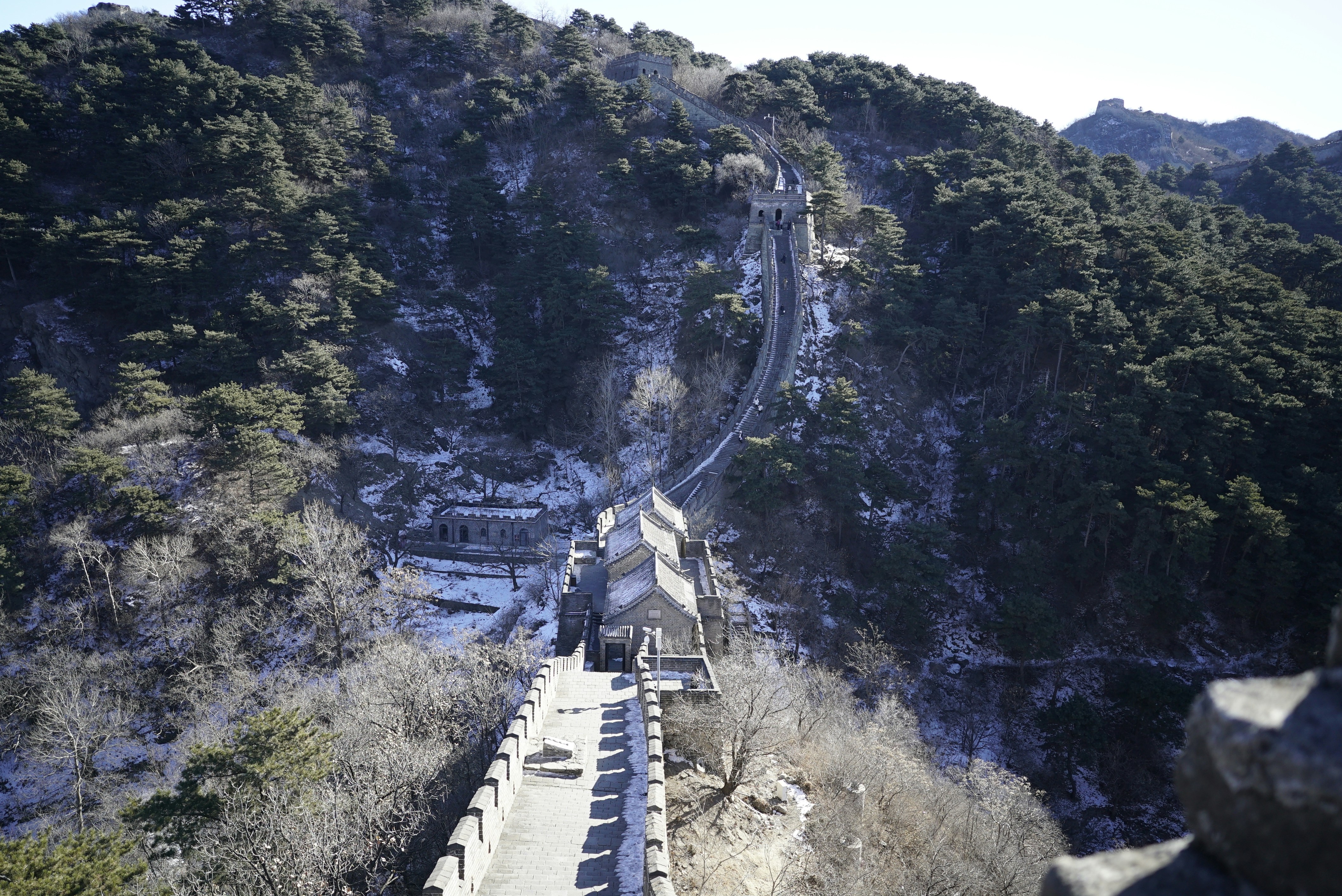 Stone Serpent Along a Cliff: The Great Wall Winding Through Winter Pines