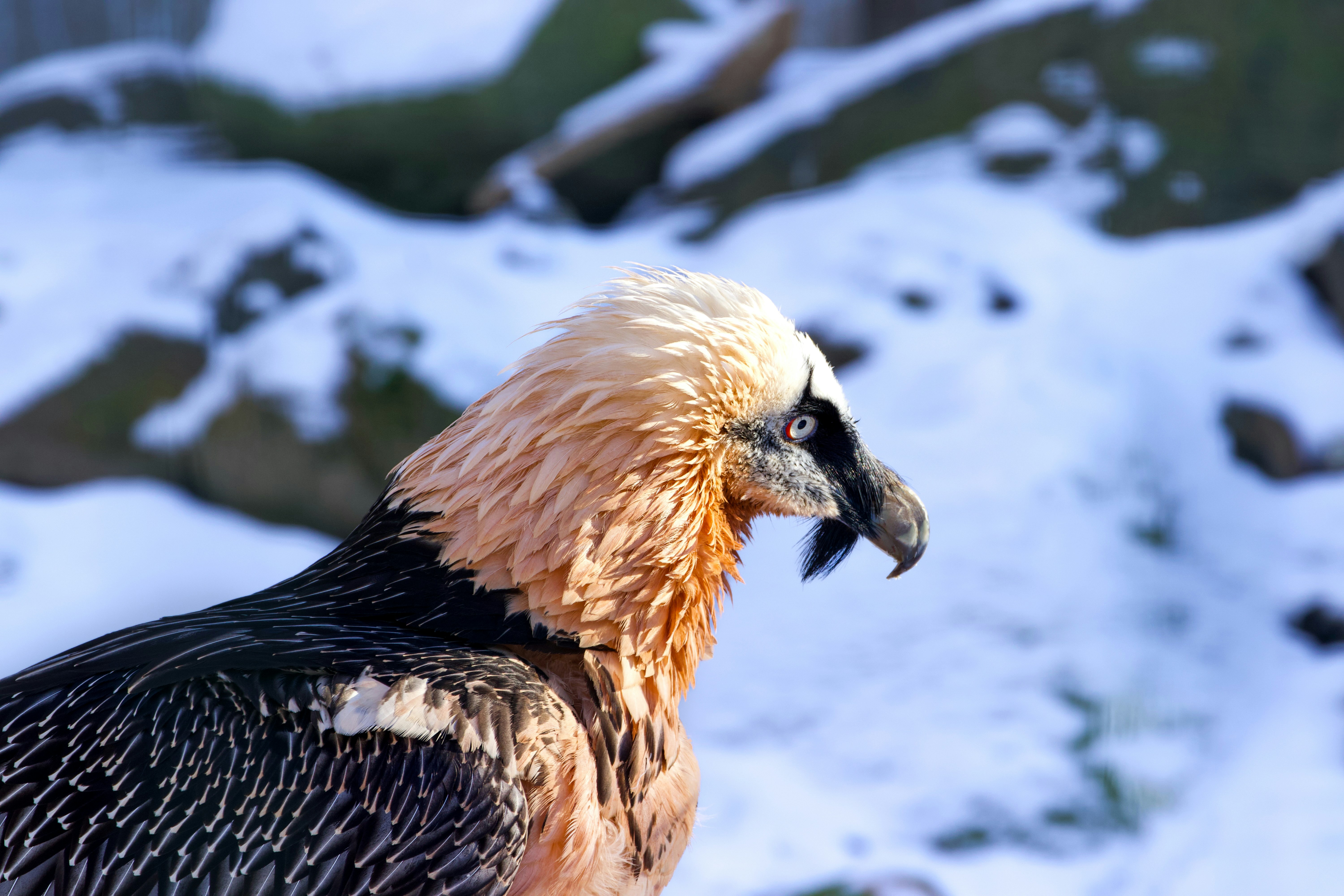 Photo by Jakub Neskora with Canon EOS 250D