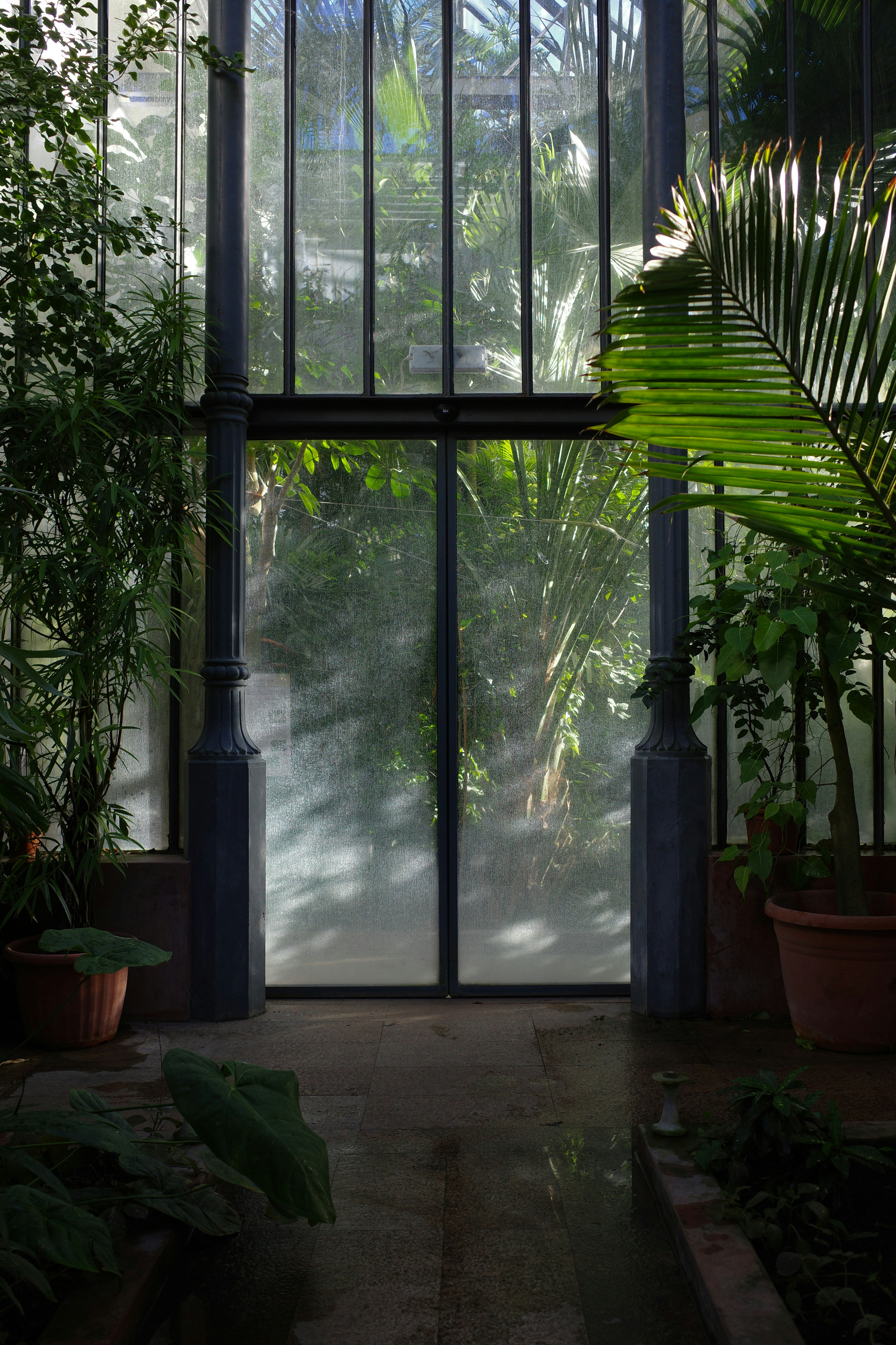 Photo by Richard Stachmann