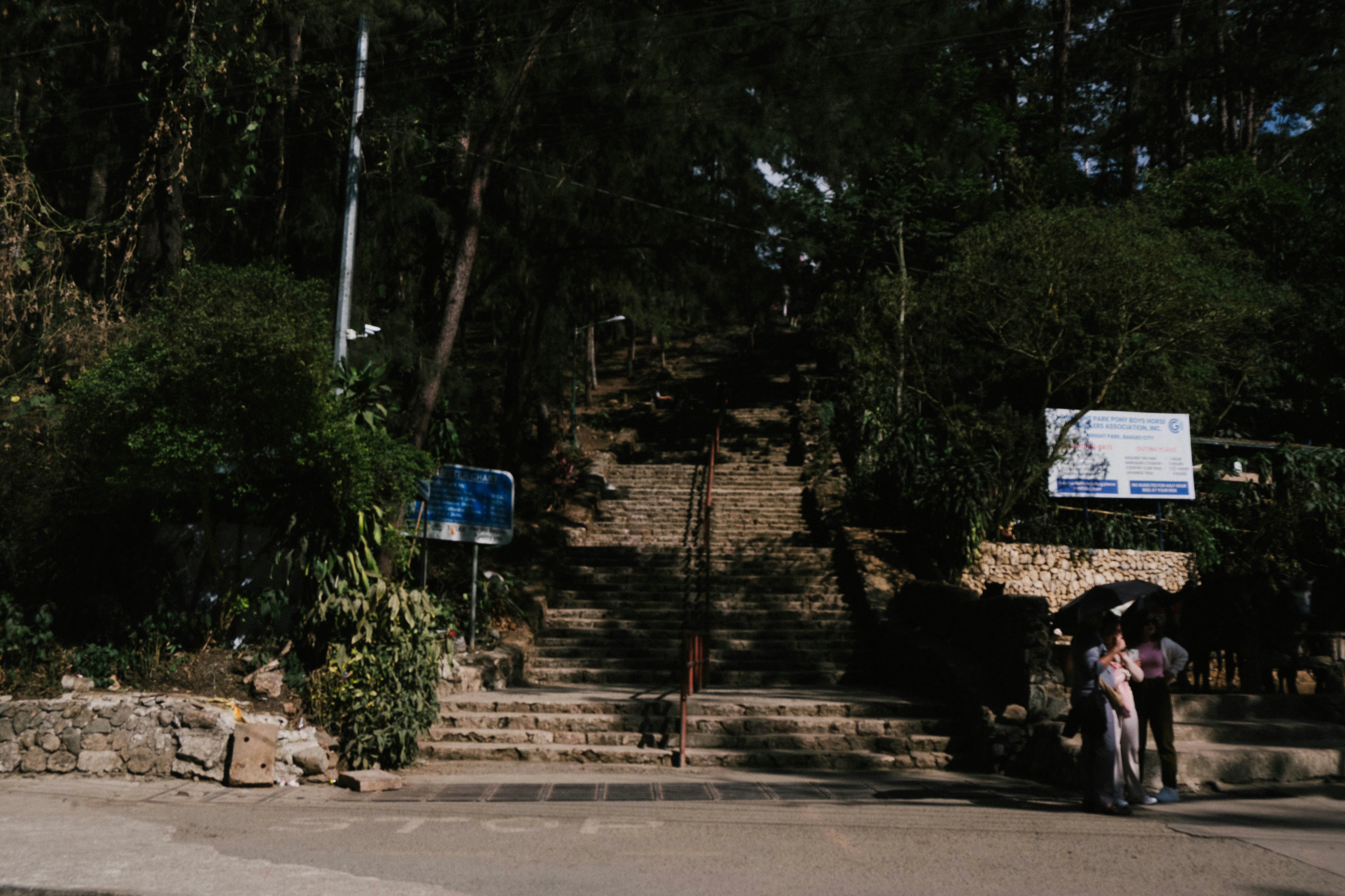 Sun-Dappled Steps: A Quiet Park Entrance Framed by Foliage