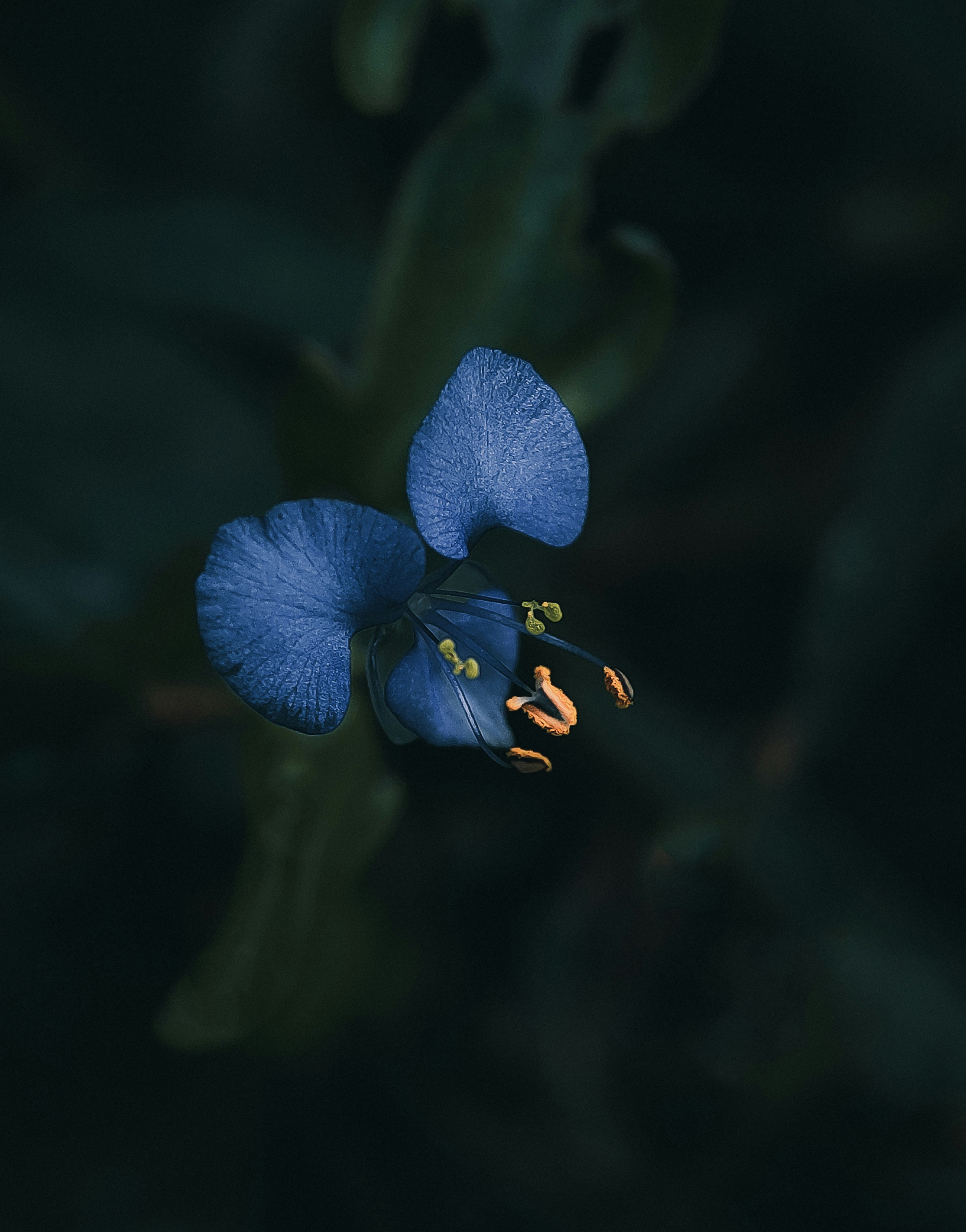 Sample photo from Nothing Phone 1