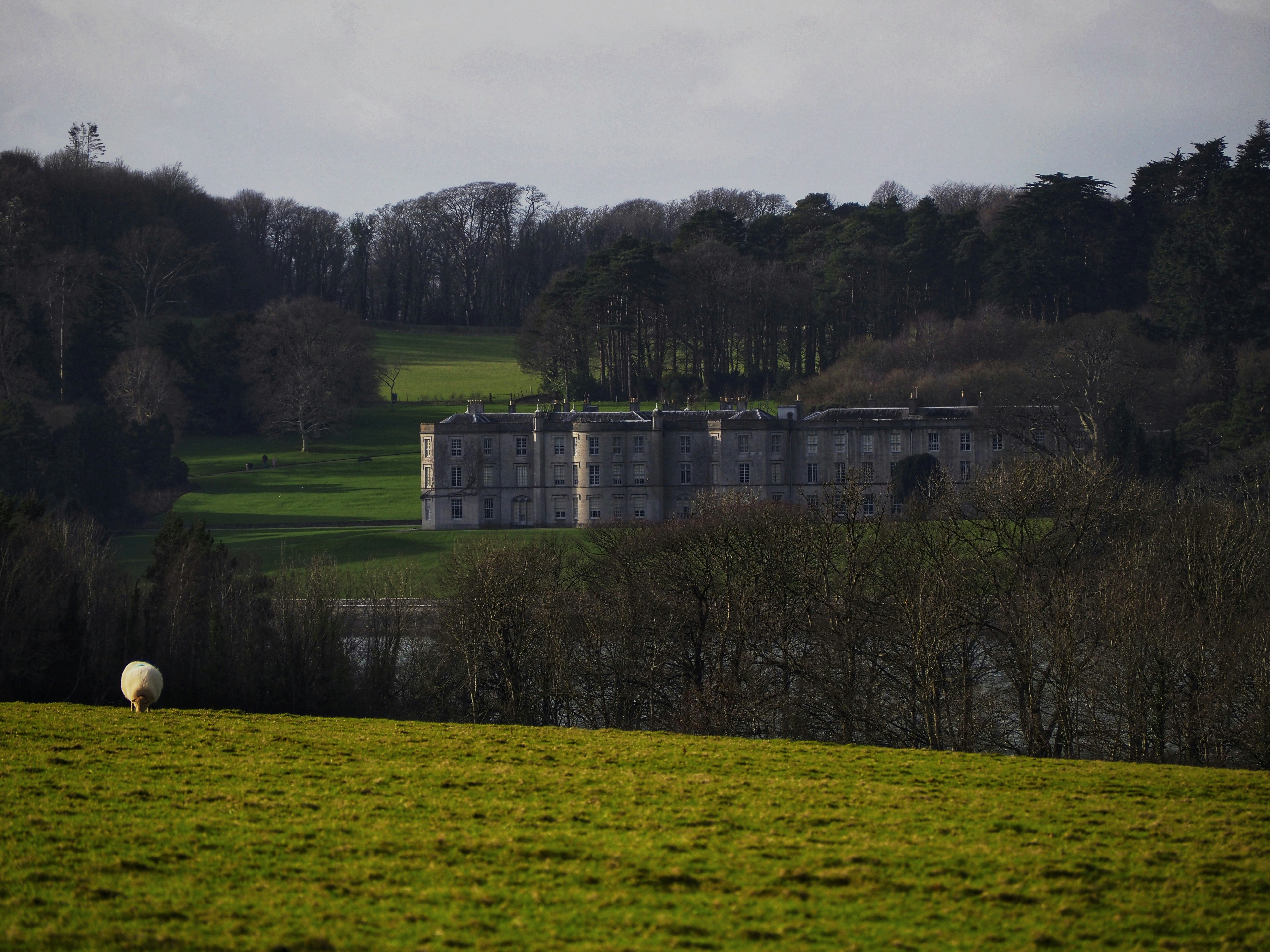Castle in the Green Vale: Stone Solitude Beyond the Rolling Hill