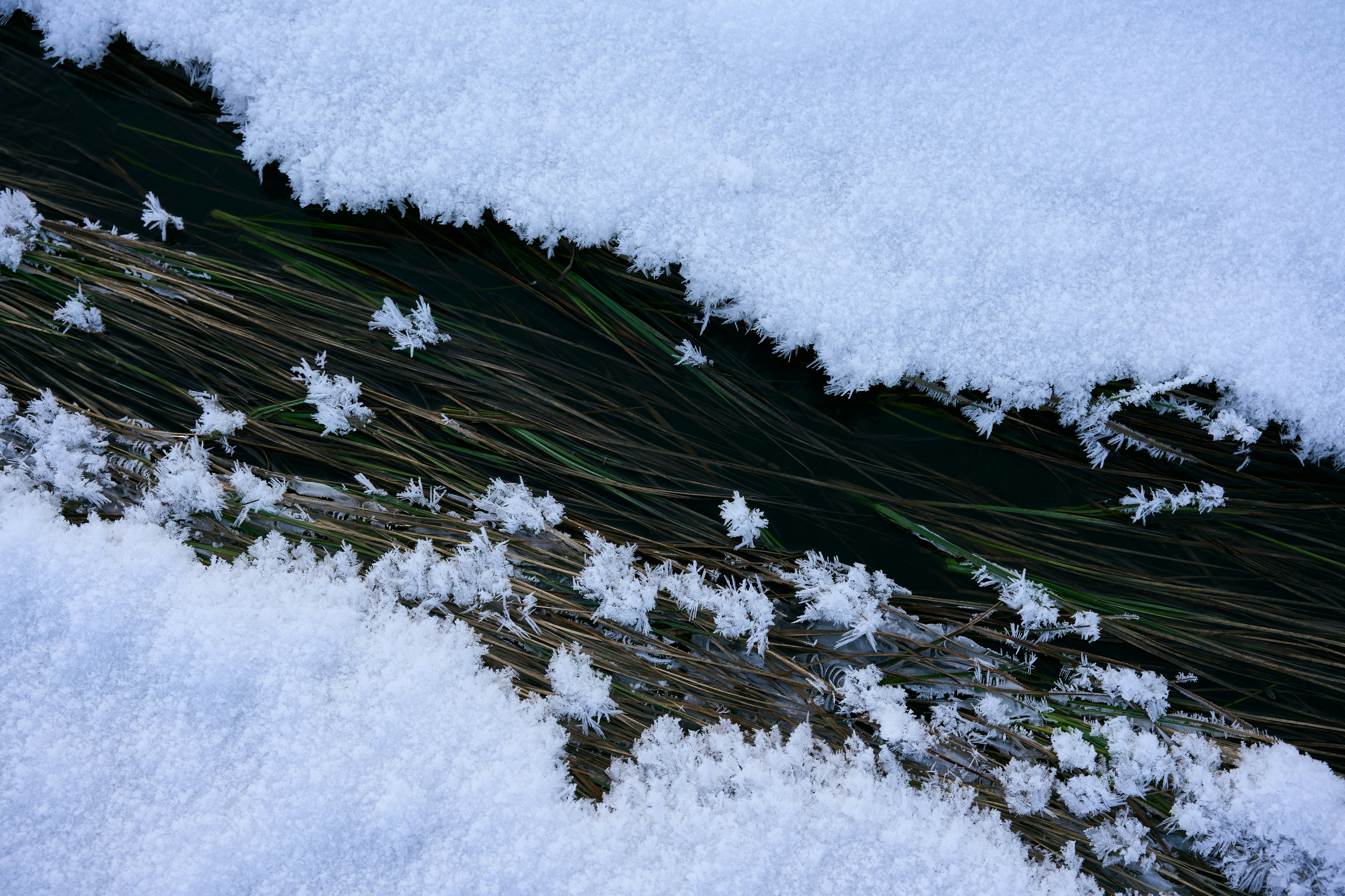 Photo by Lukas Seitz with Sony Alpha 7 IV