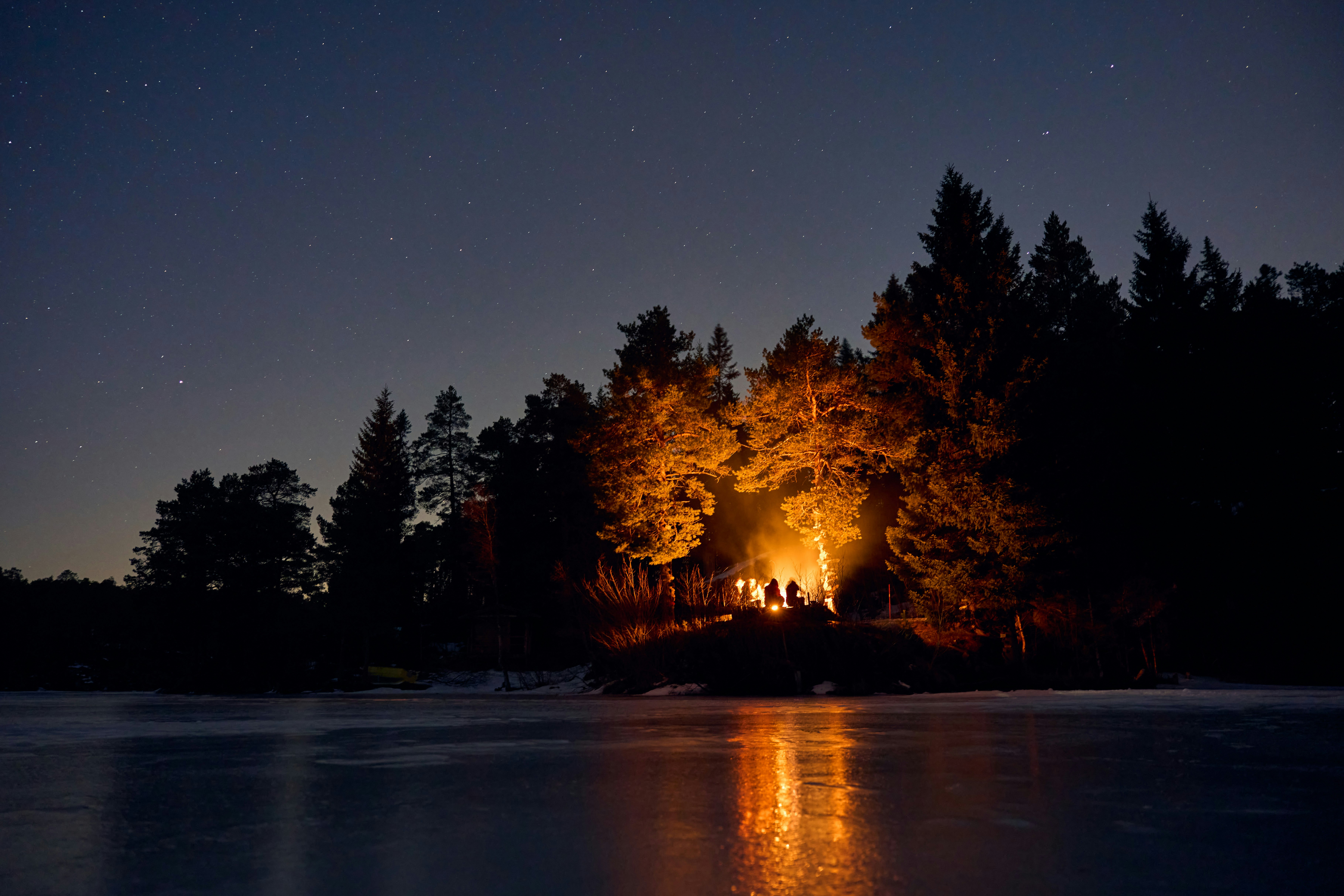 Firelight Among Pines: A Star-Lit Night by the Frozen Lake