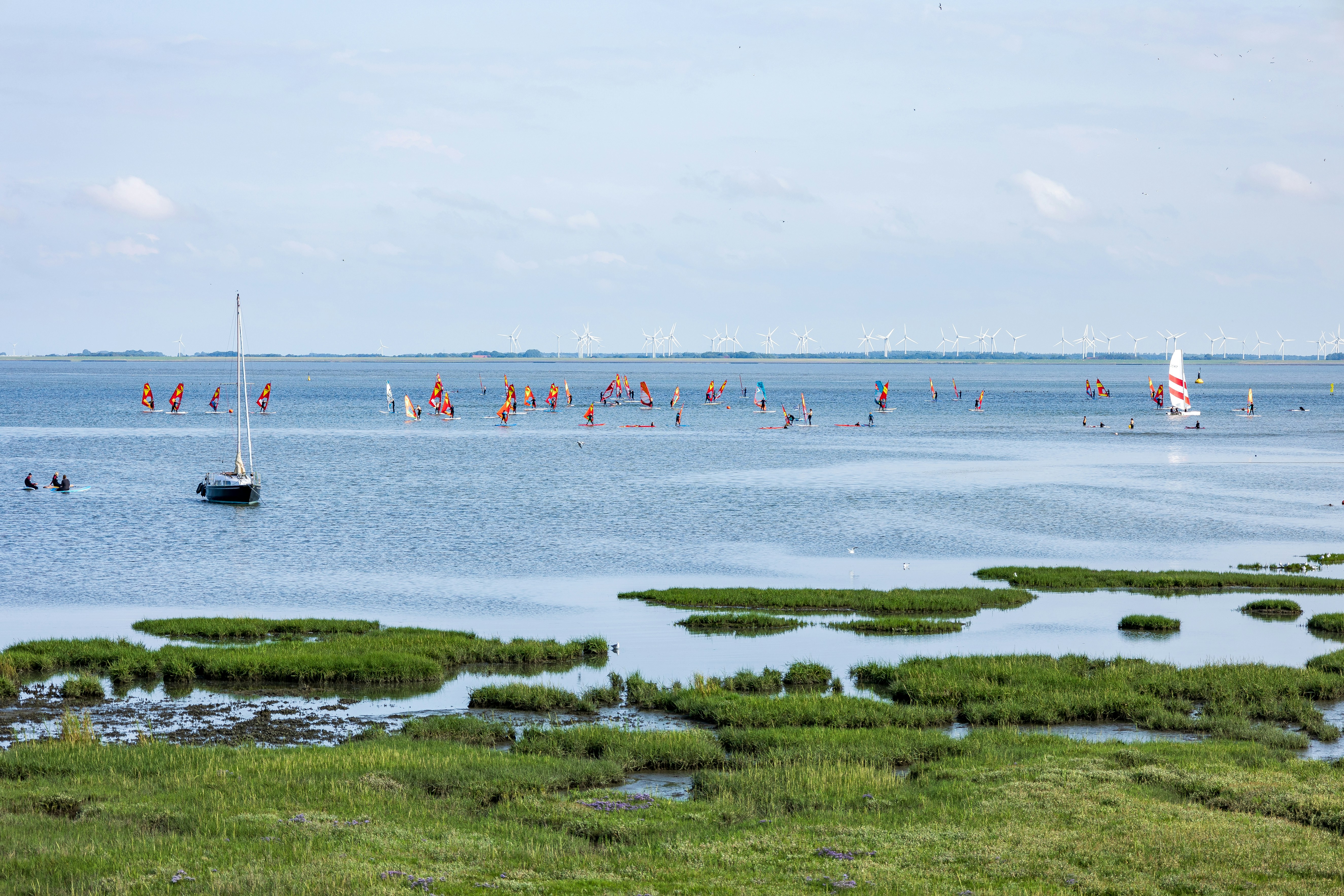 Coastal Mosaic: Swimmers in Tidal Flats with Distant Sails