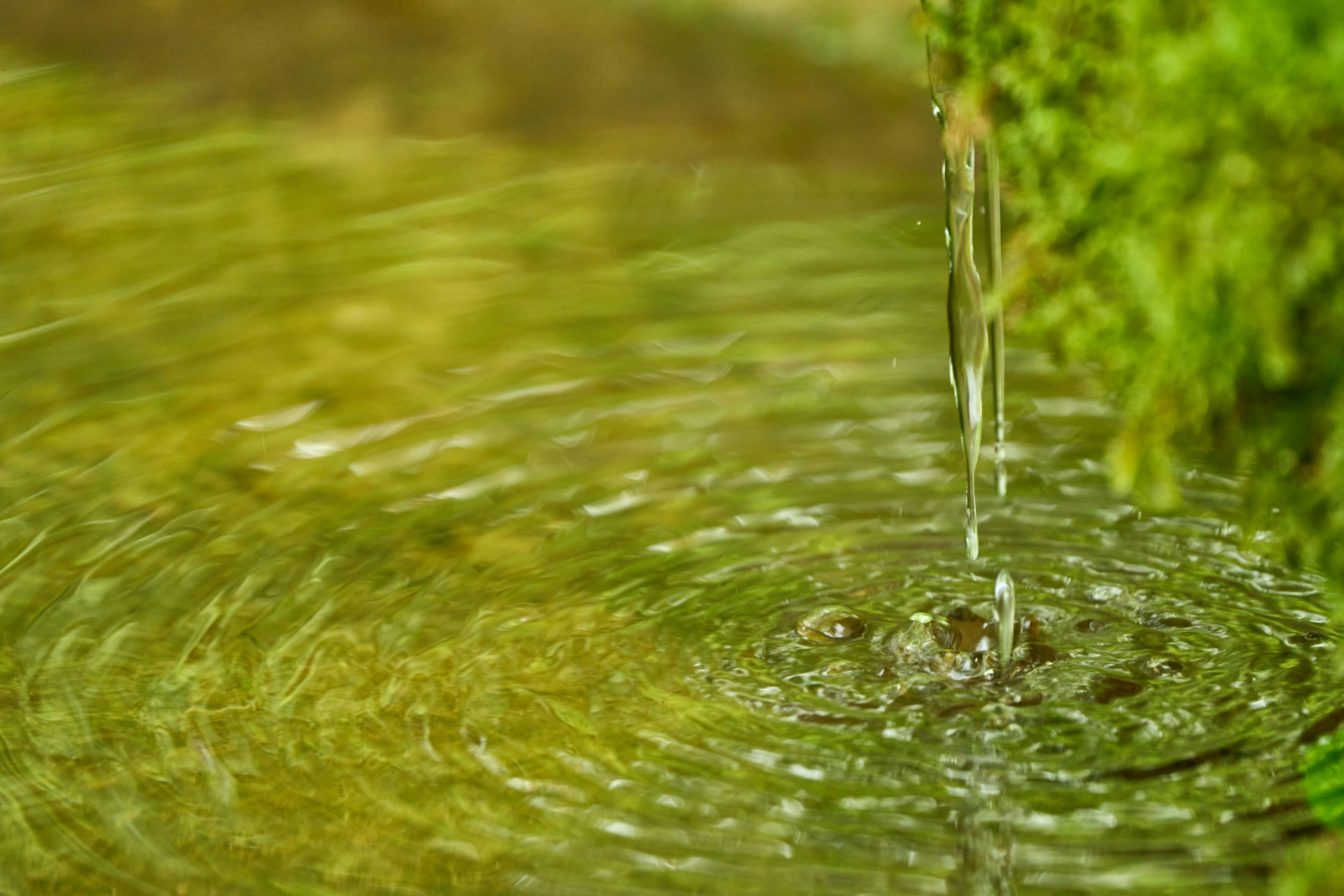 A close up of a water drop with grass in the background photo – Free ...