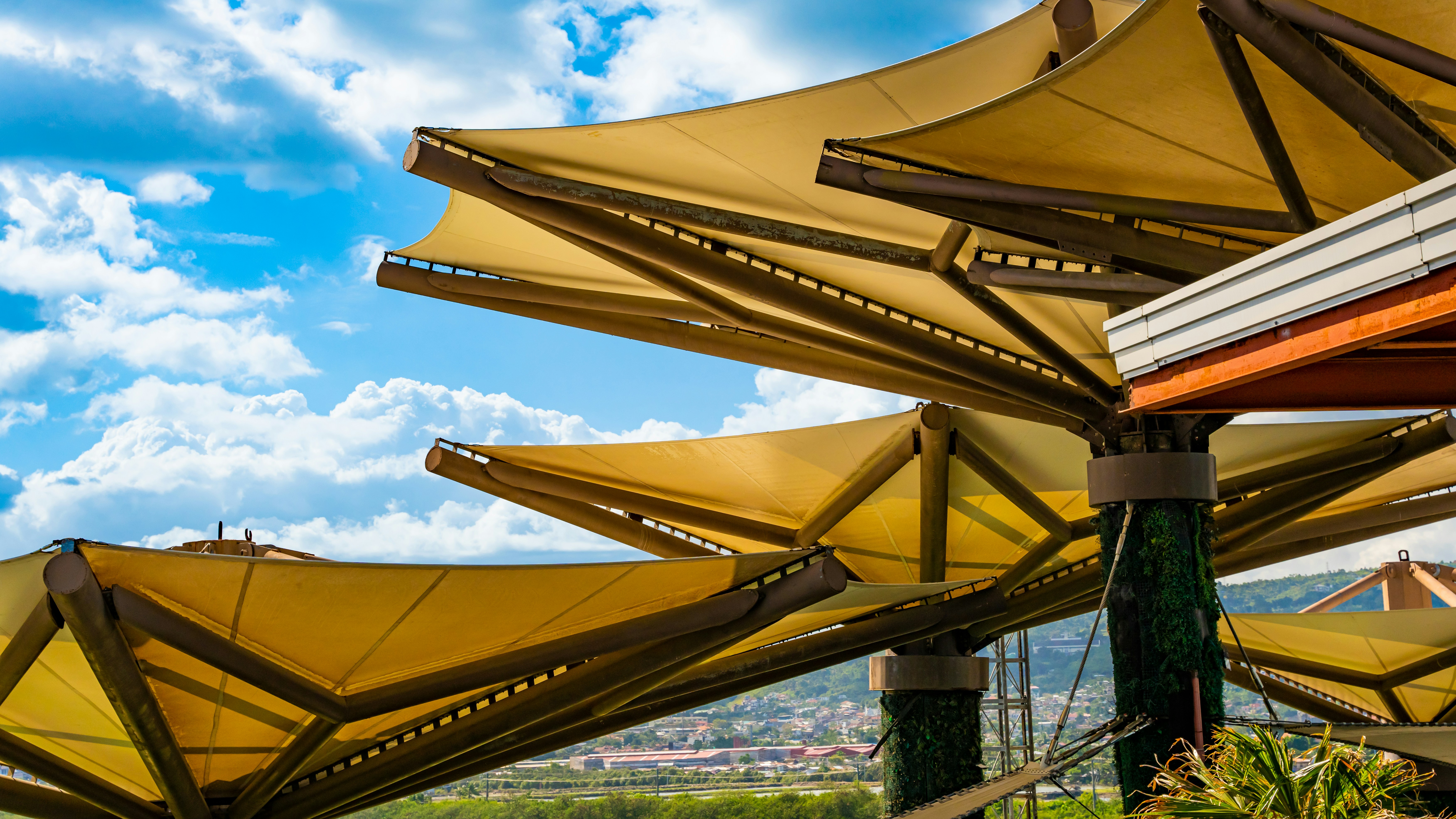 A group of yellow umbrellas sitting next to each other photo – Free ...