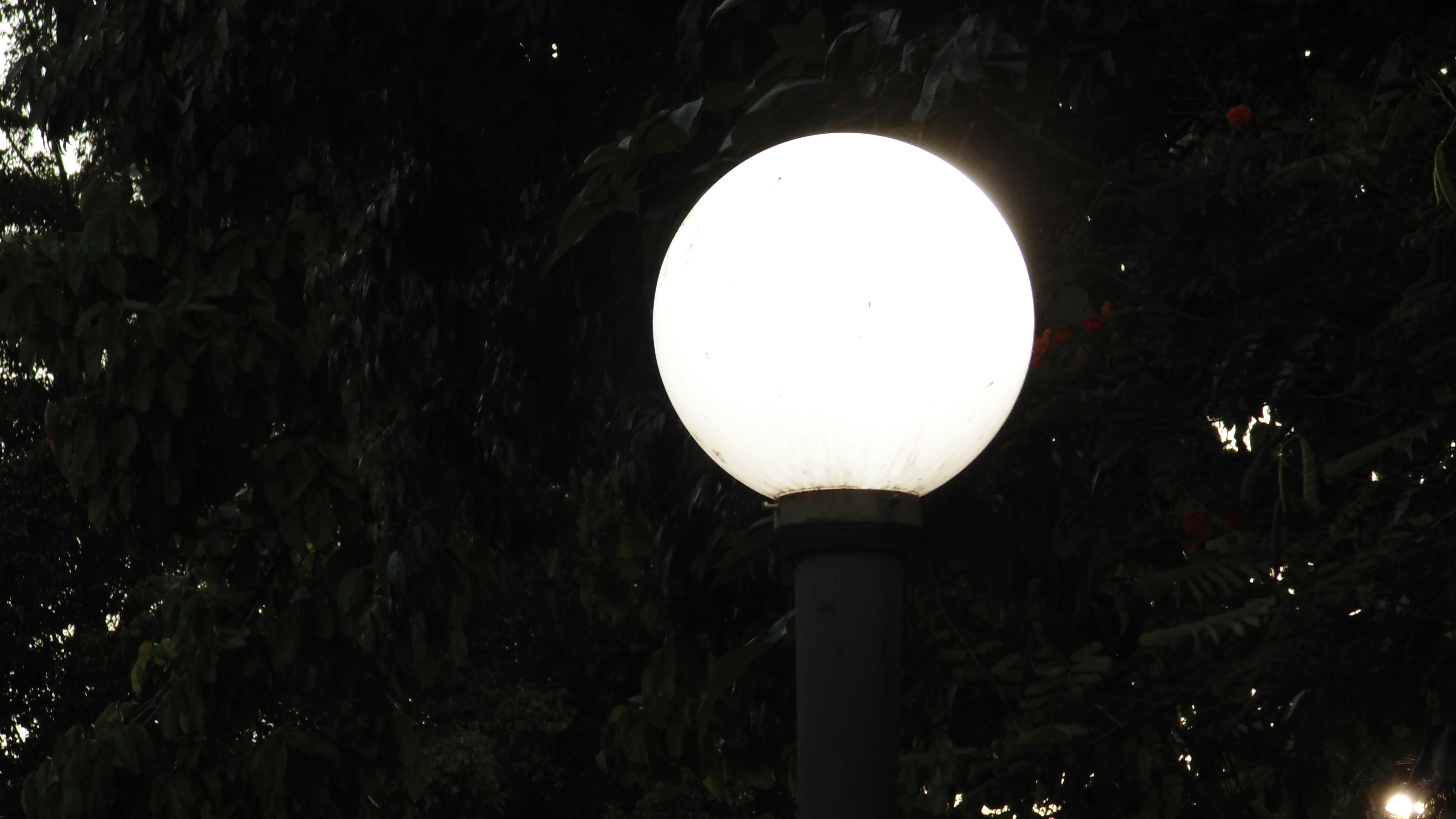 Photo by Eaidant with Sony Cyber-shot H100