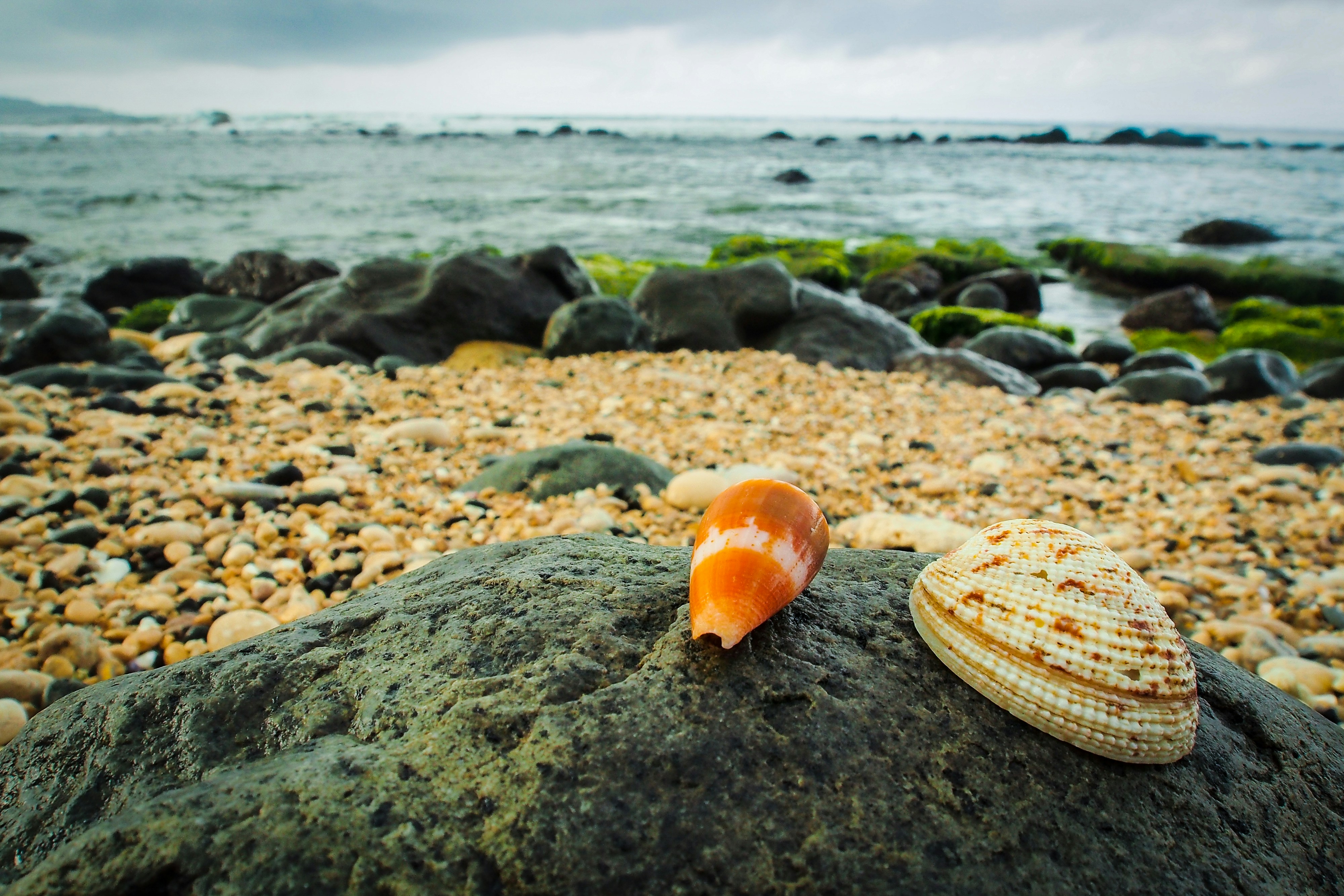 Photo by Galih Setyo Putro with Olympus OM-D E-M5