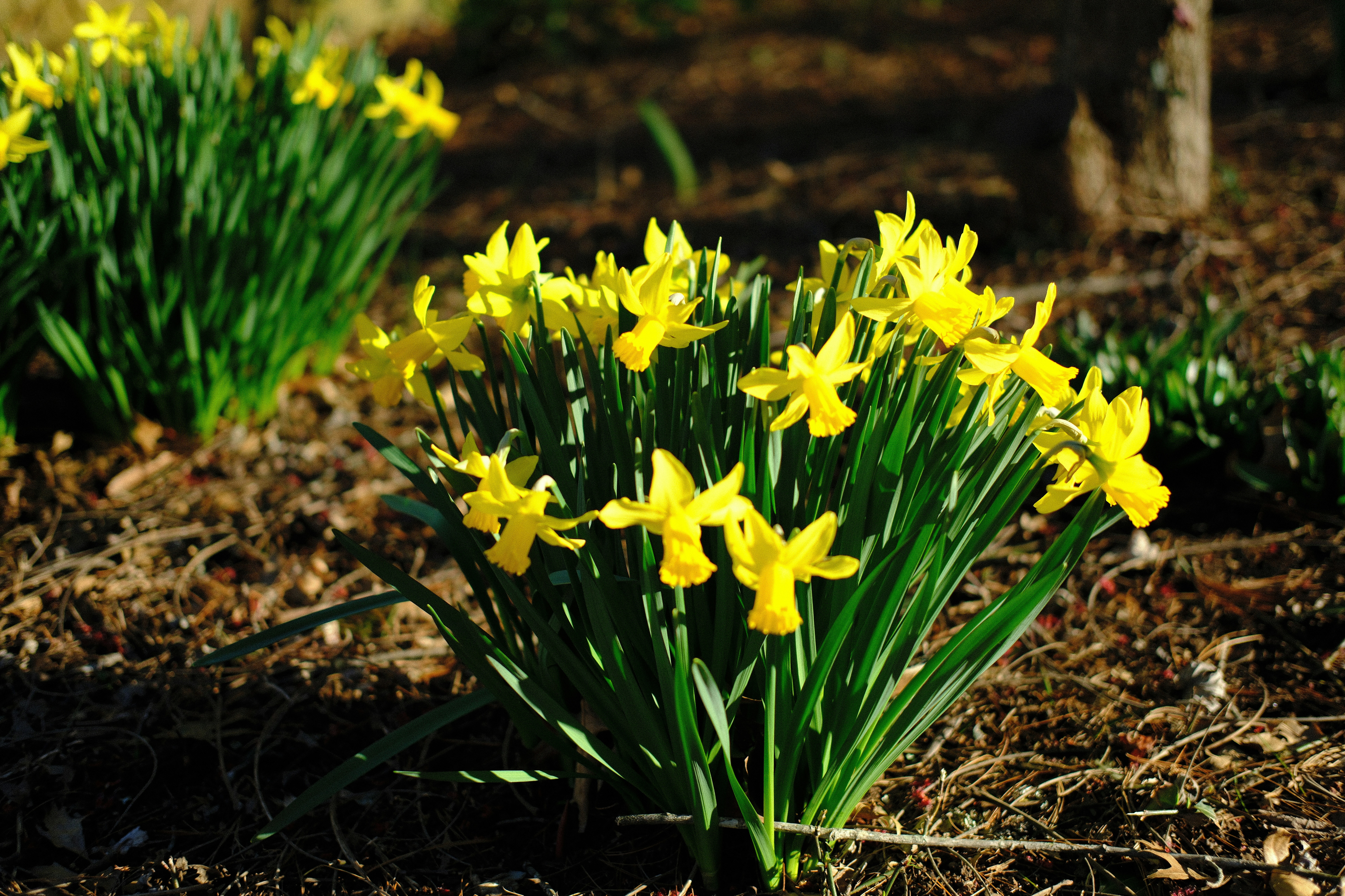 Photo by tonny huang with Fujifilm X-T5