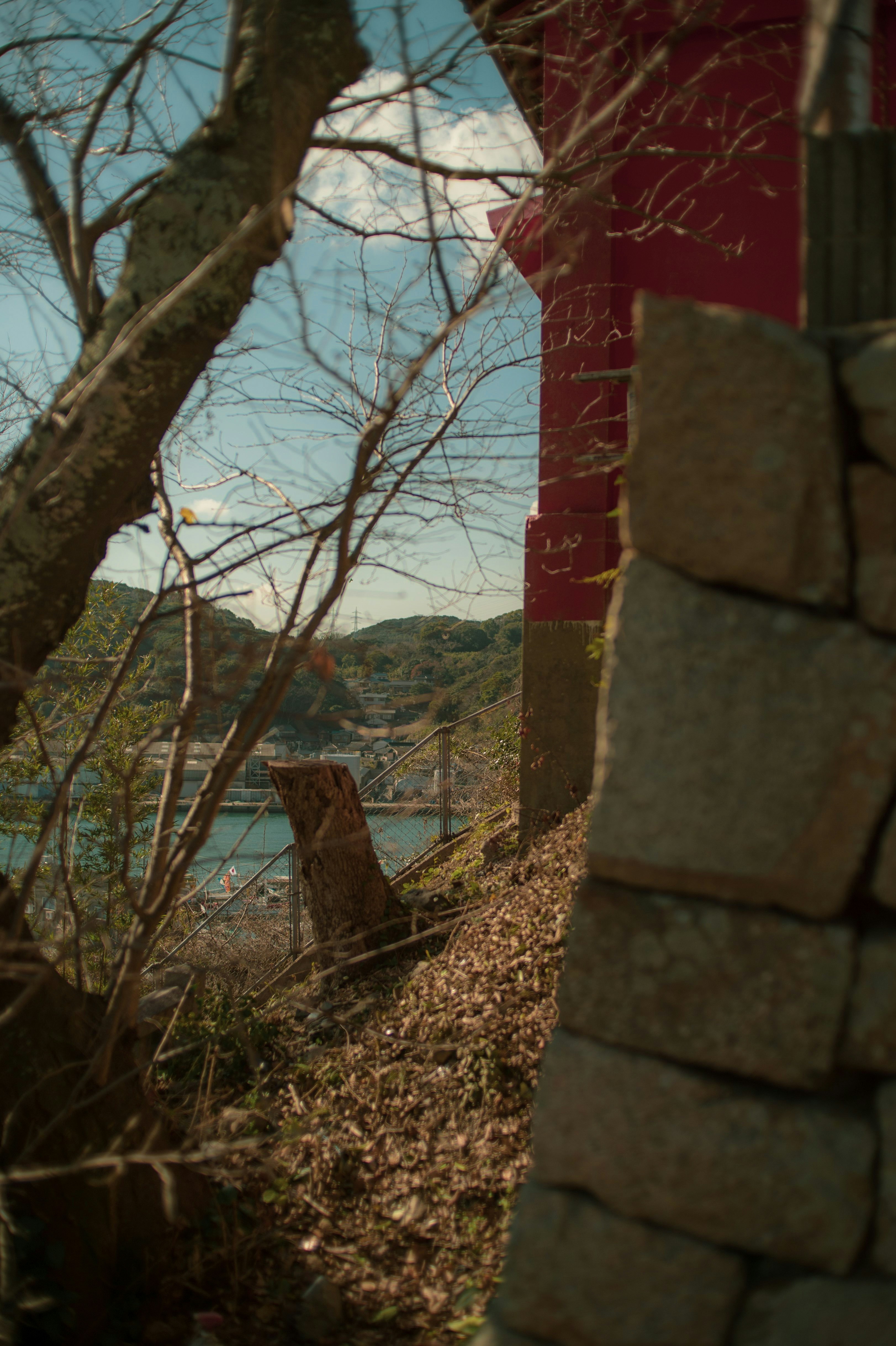 Coastline Through a Woodland Window: Distant Hills Framed by Branches and Brick