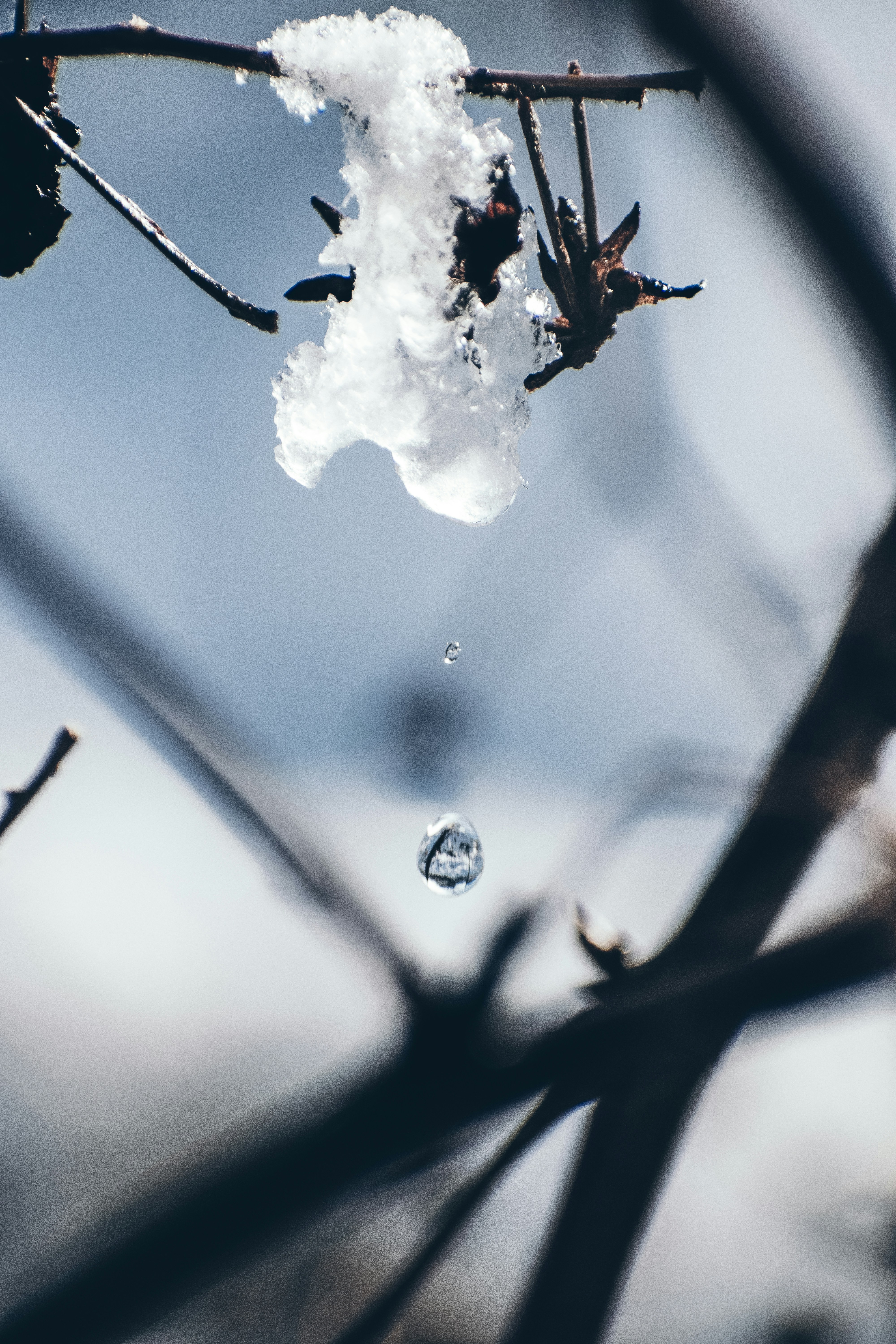 falling drop of water from melting snow