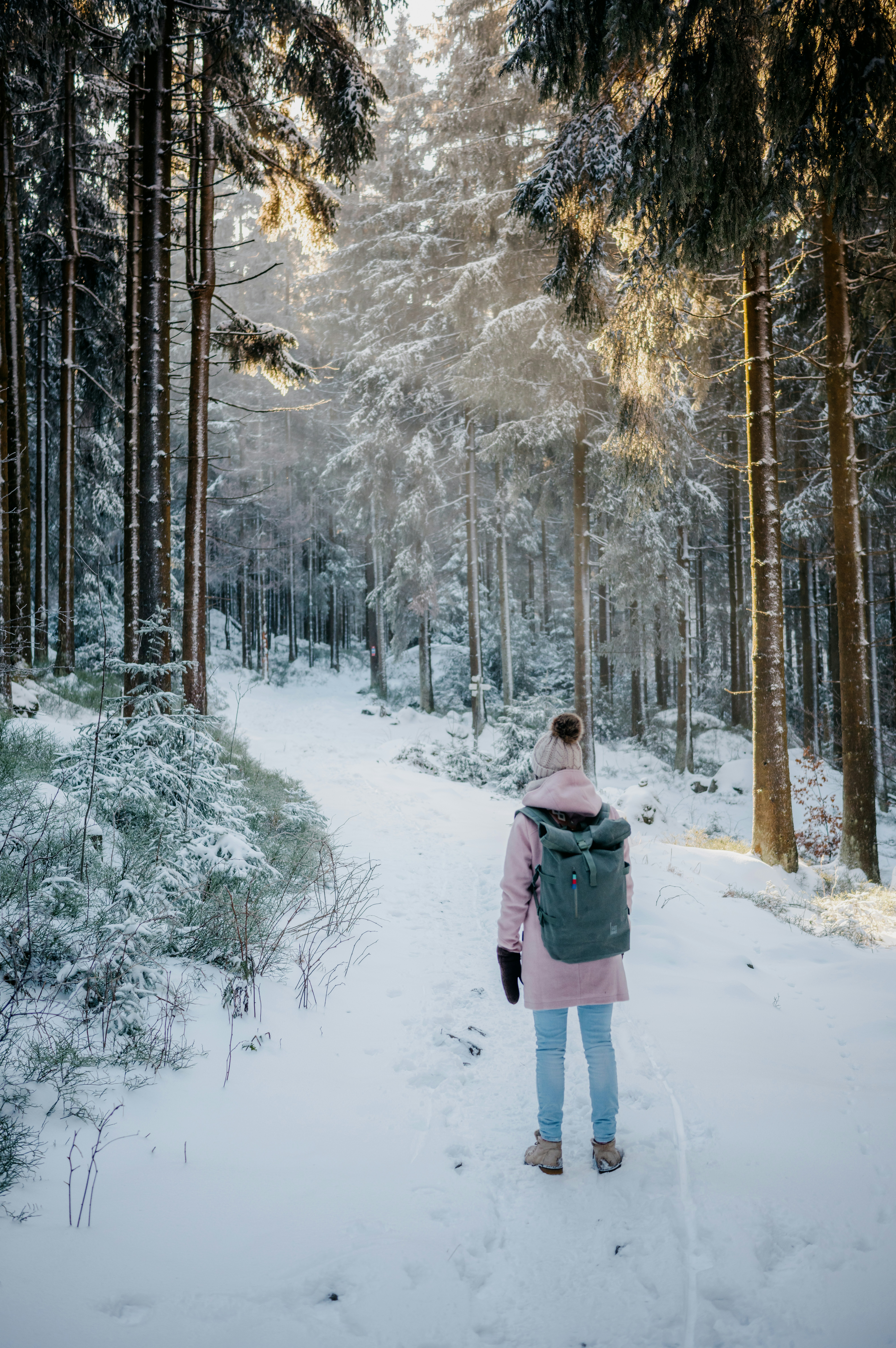Person in winter attire walking through a snow-covered forest path surrounded by tall trees.