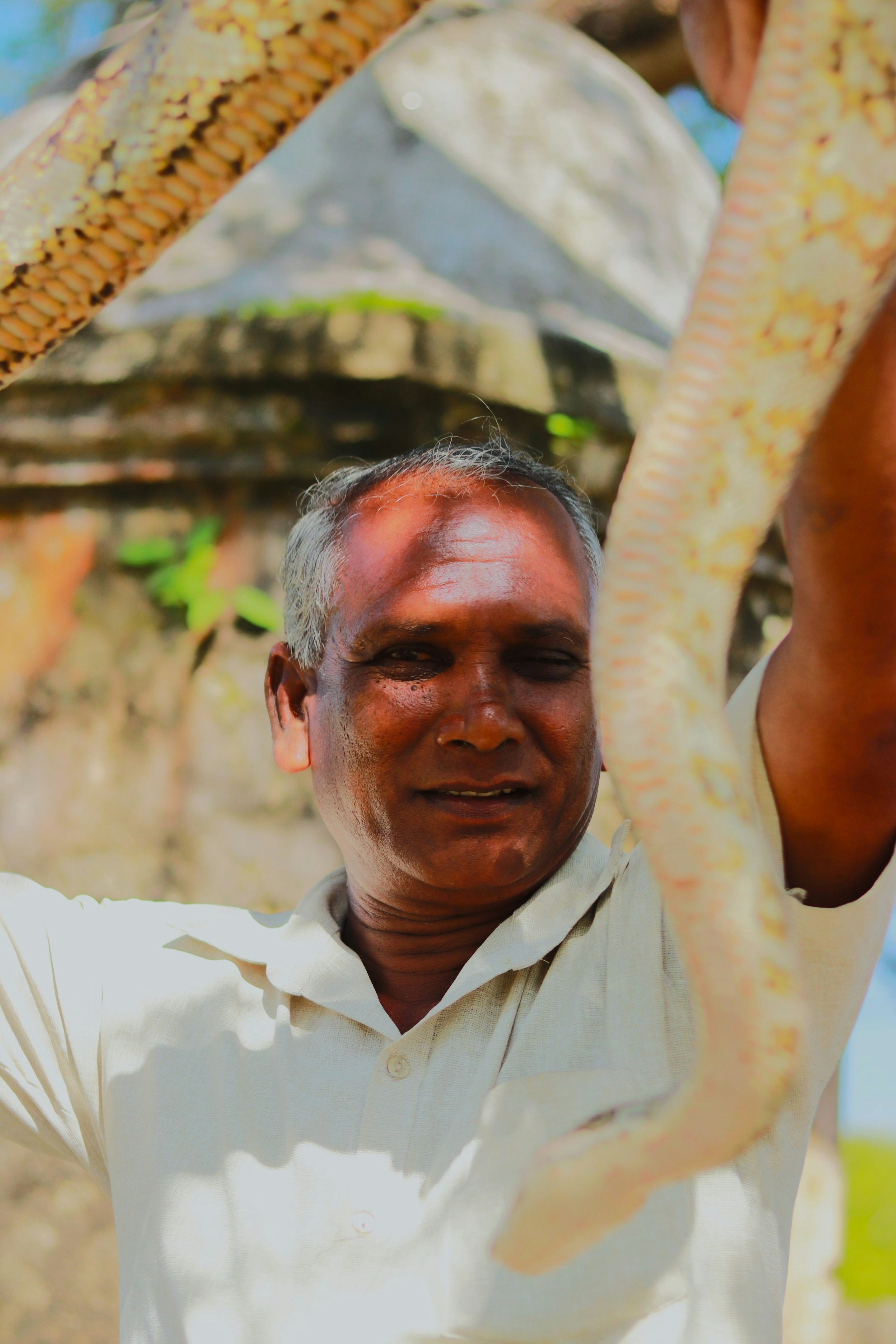 Man with Cobra Lift: A Grimace of Trust under a Serpent’s Frame