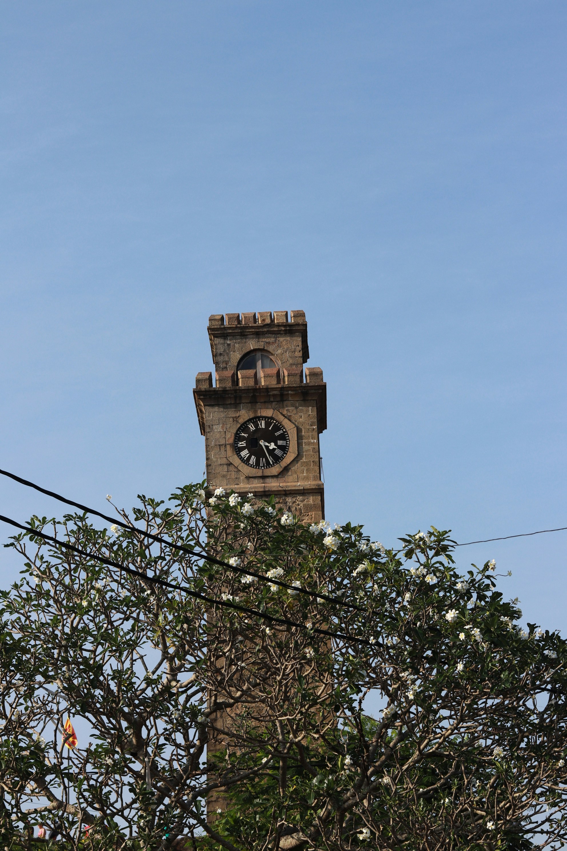 Weathered Clock Tower Framed by Blossoming Branches Against a Clear Azure Sky