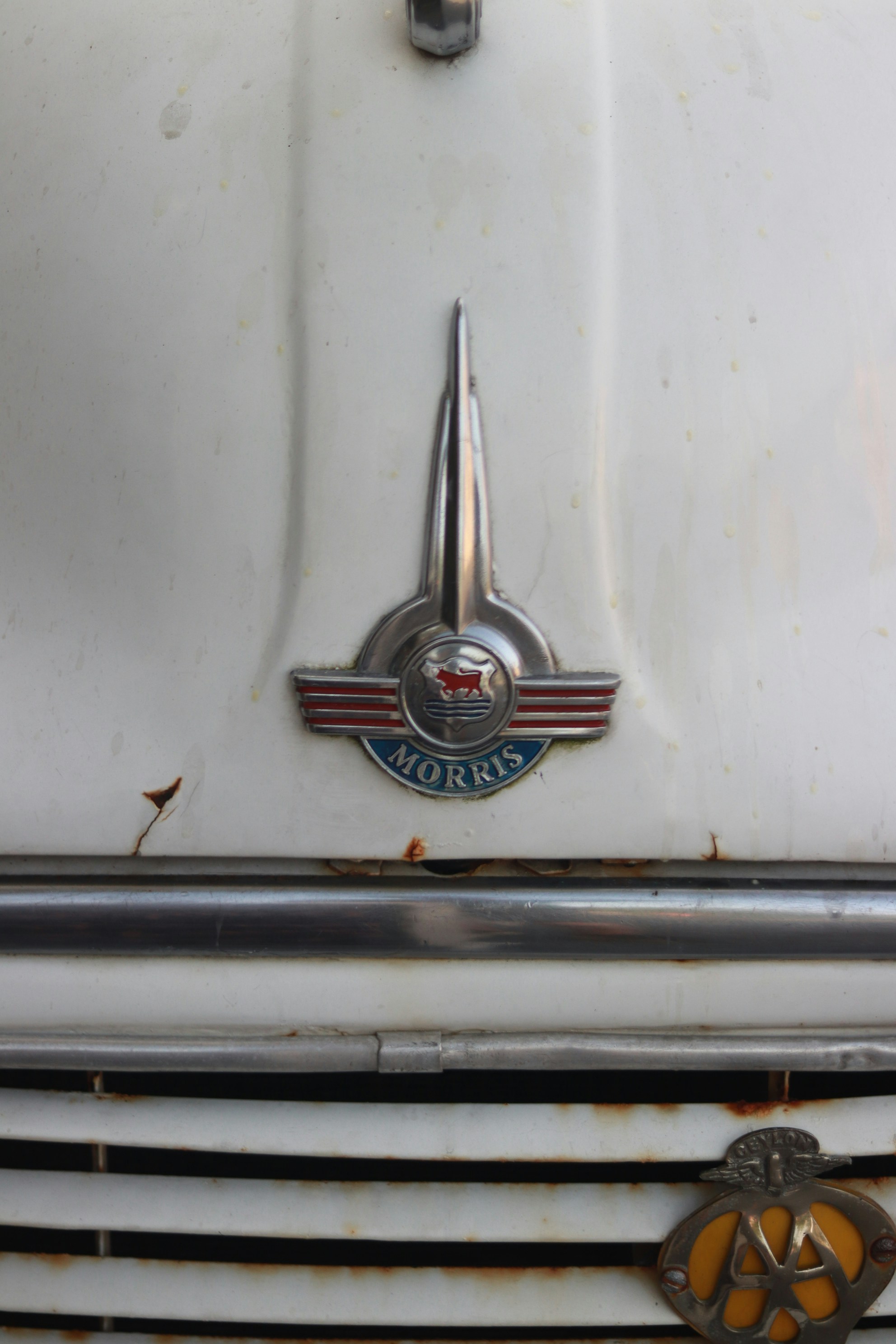 Center Stage: The Morris Badge Amid Rust and Chrome on a Weathered Classic Hood
