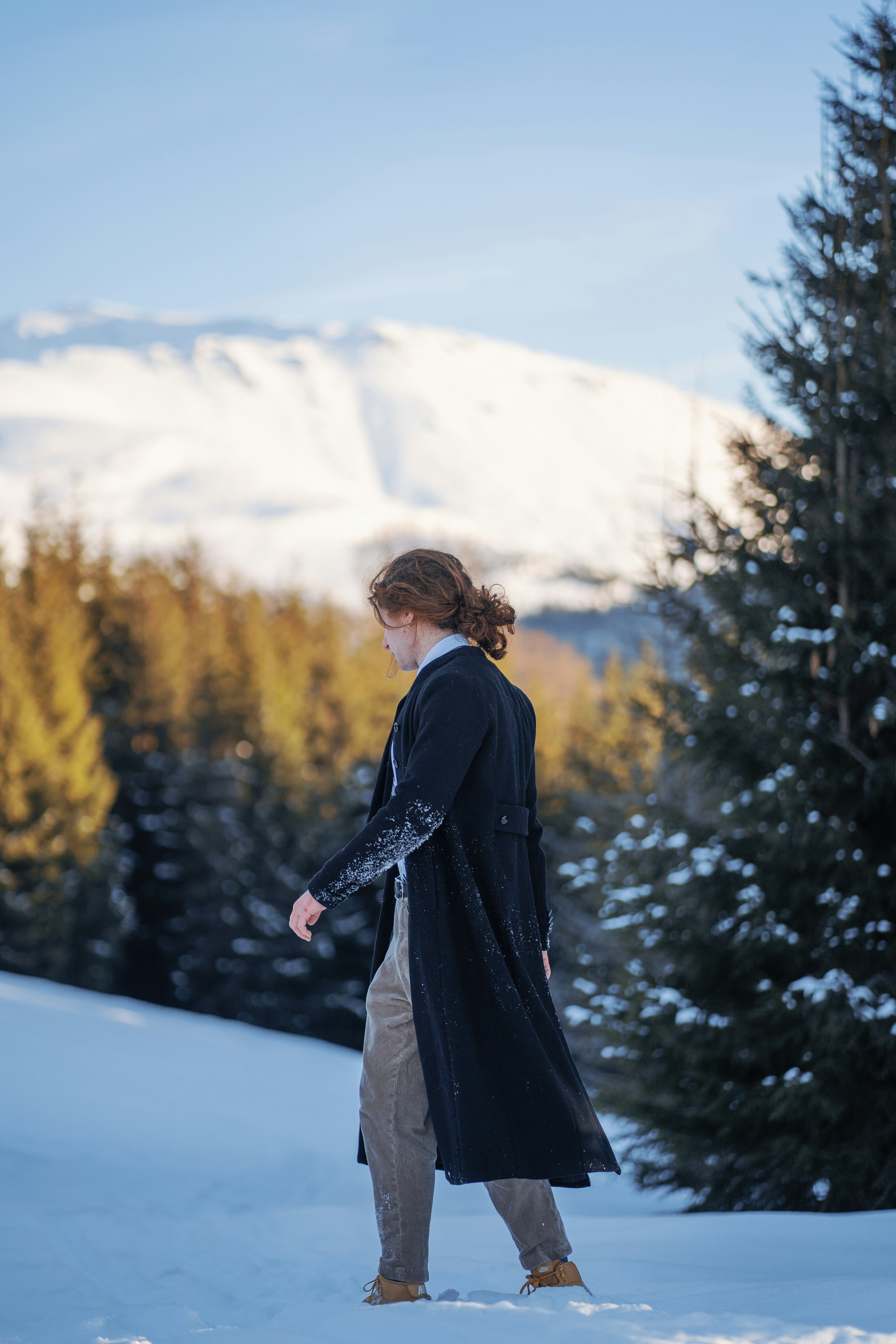 Winter Wanderer: A Portrait Against Snowy Pines