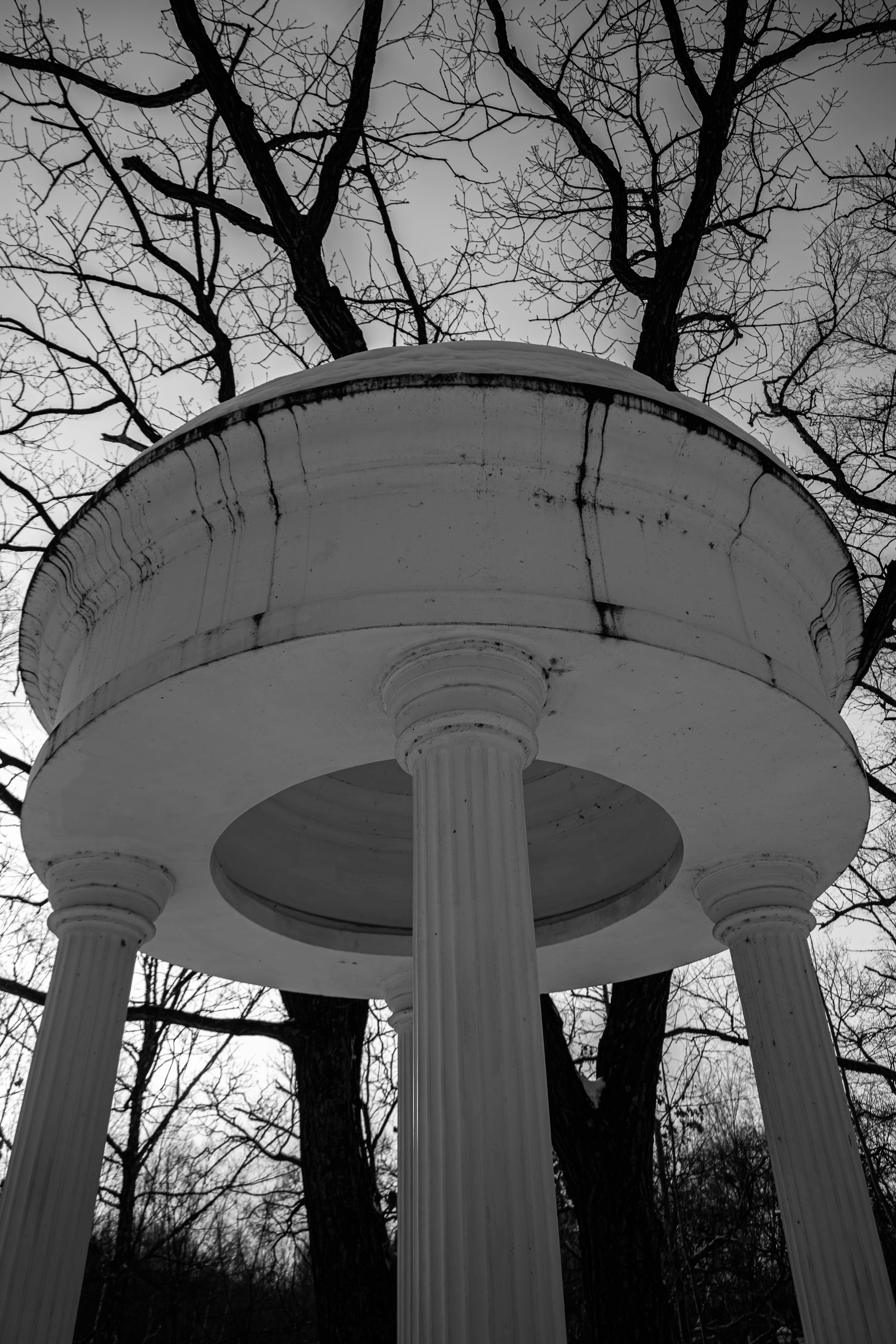 A white gazebo with trees in the background photo – Free Grey Image on ...