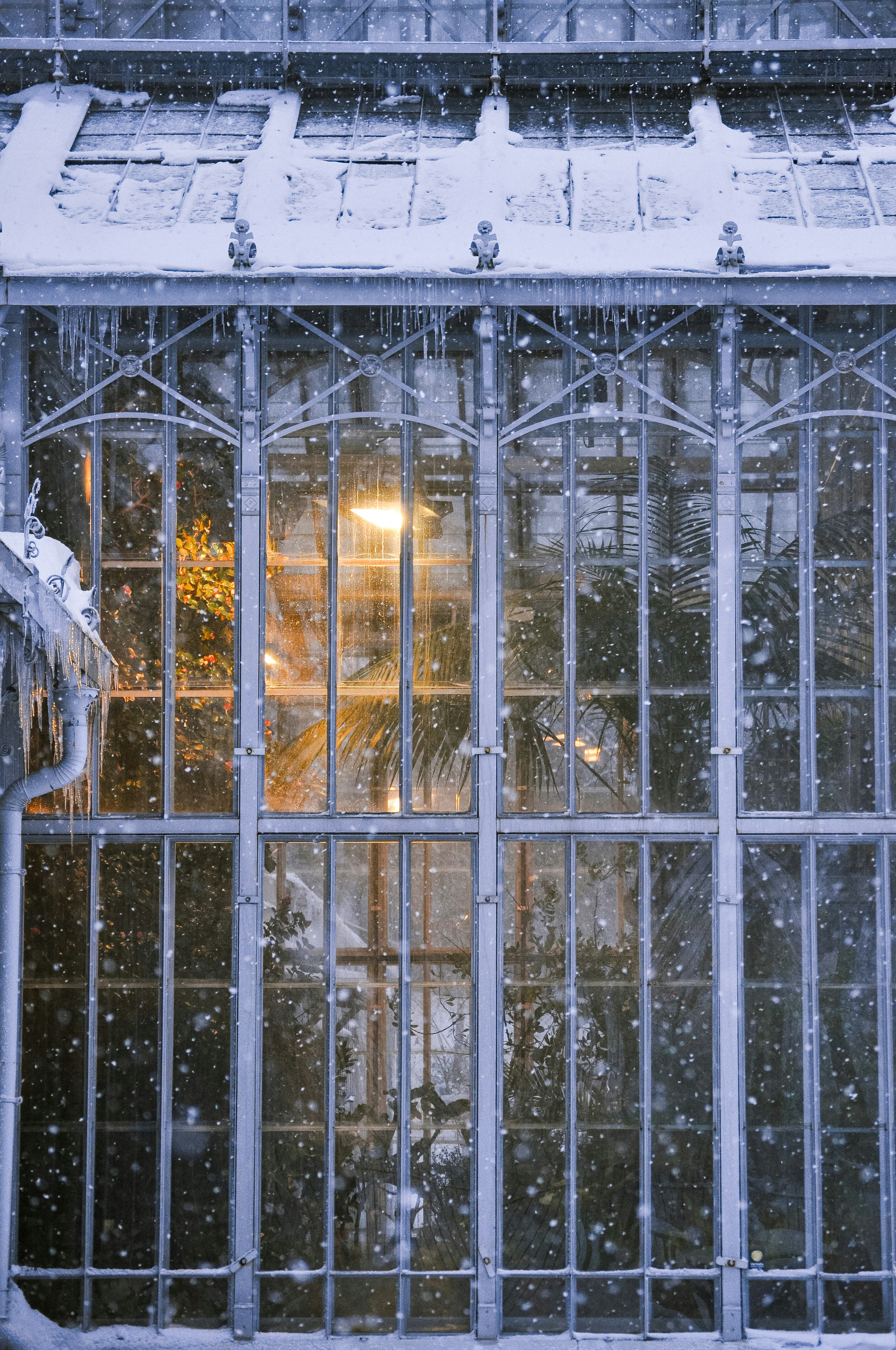 Warm Glow Through Frosted Ironwork: Snow-Enshrouded Conservatory
