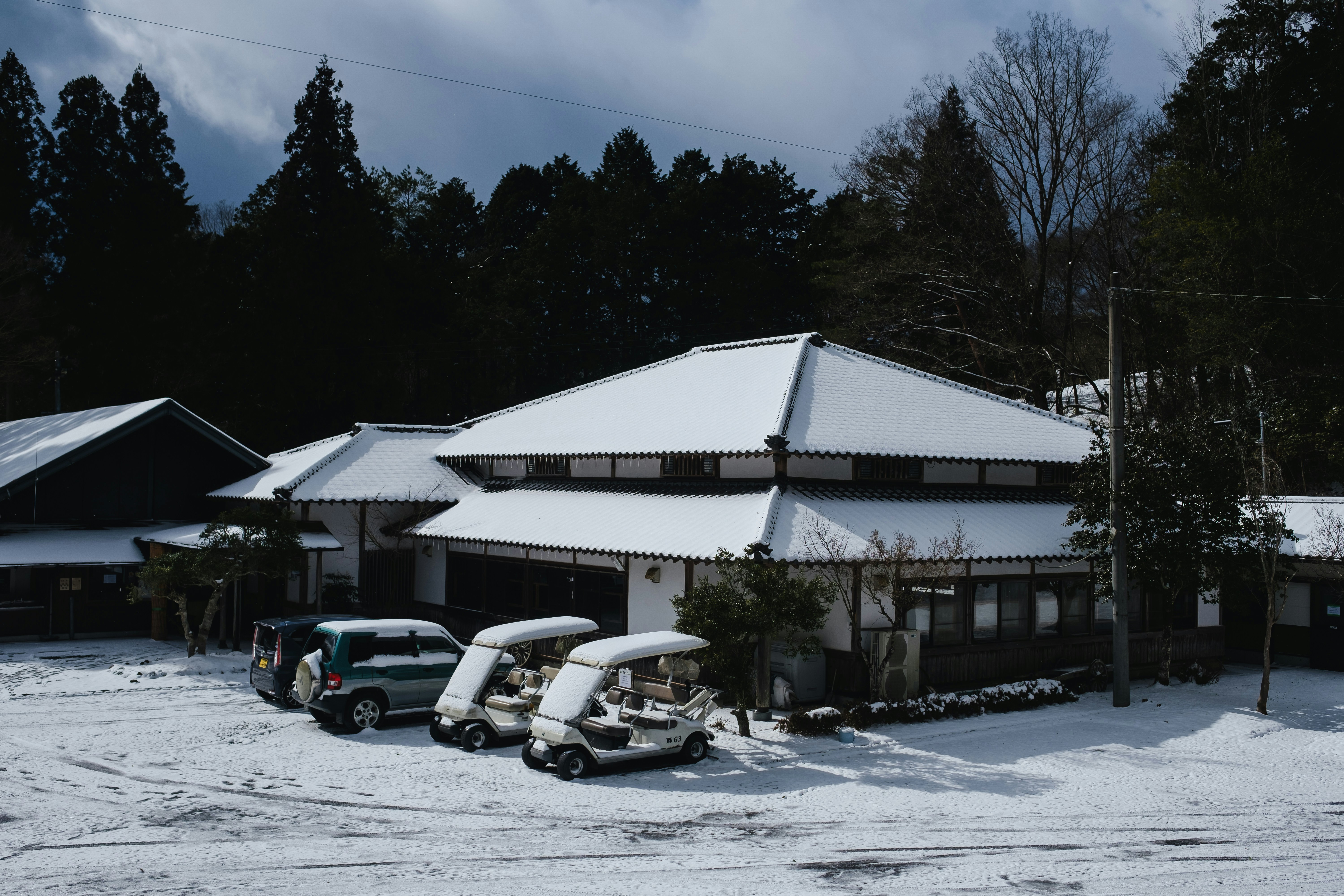 Snow-Blanketed Gables: Tranquil Heritage Under a Winter Sky