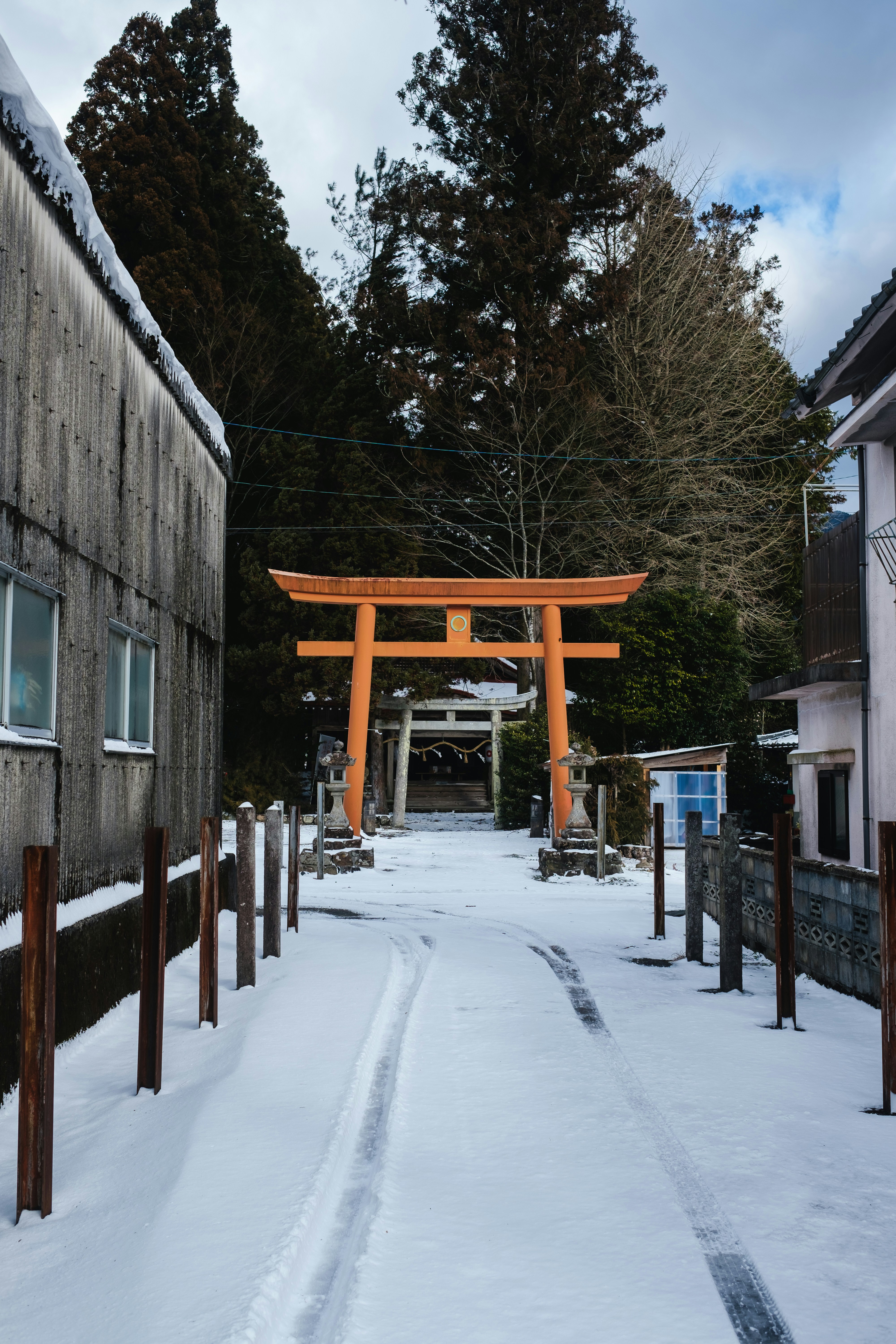 Snowbound Torii Gate: A Quiet Shrine Path Through Winter