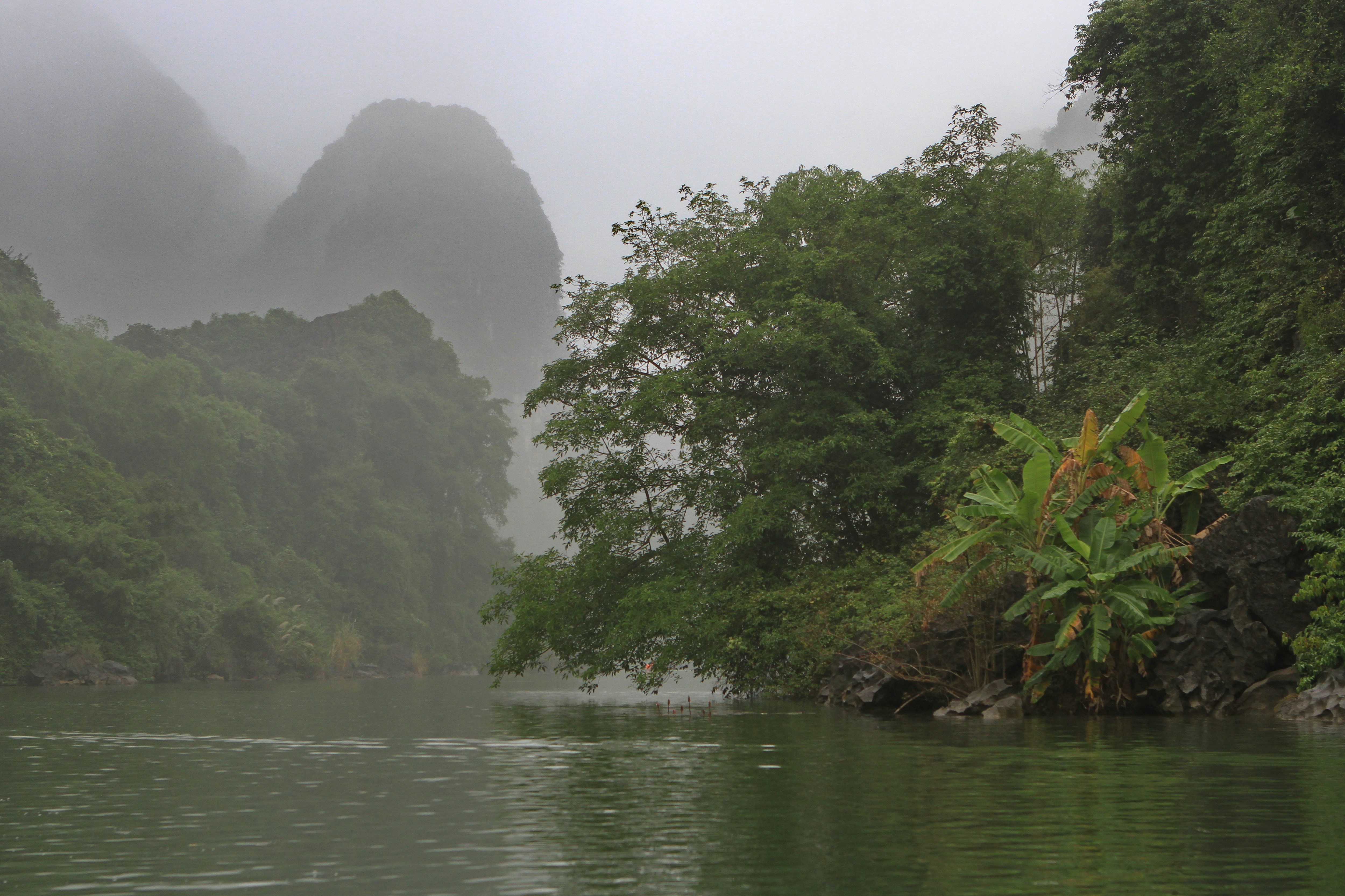 Lush greenery and misty hills reflected in a calm river under overcast skies.