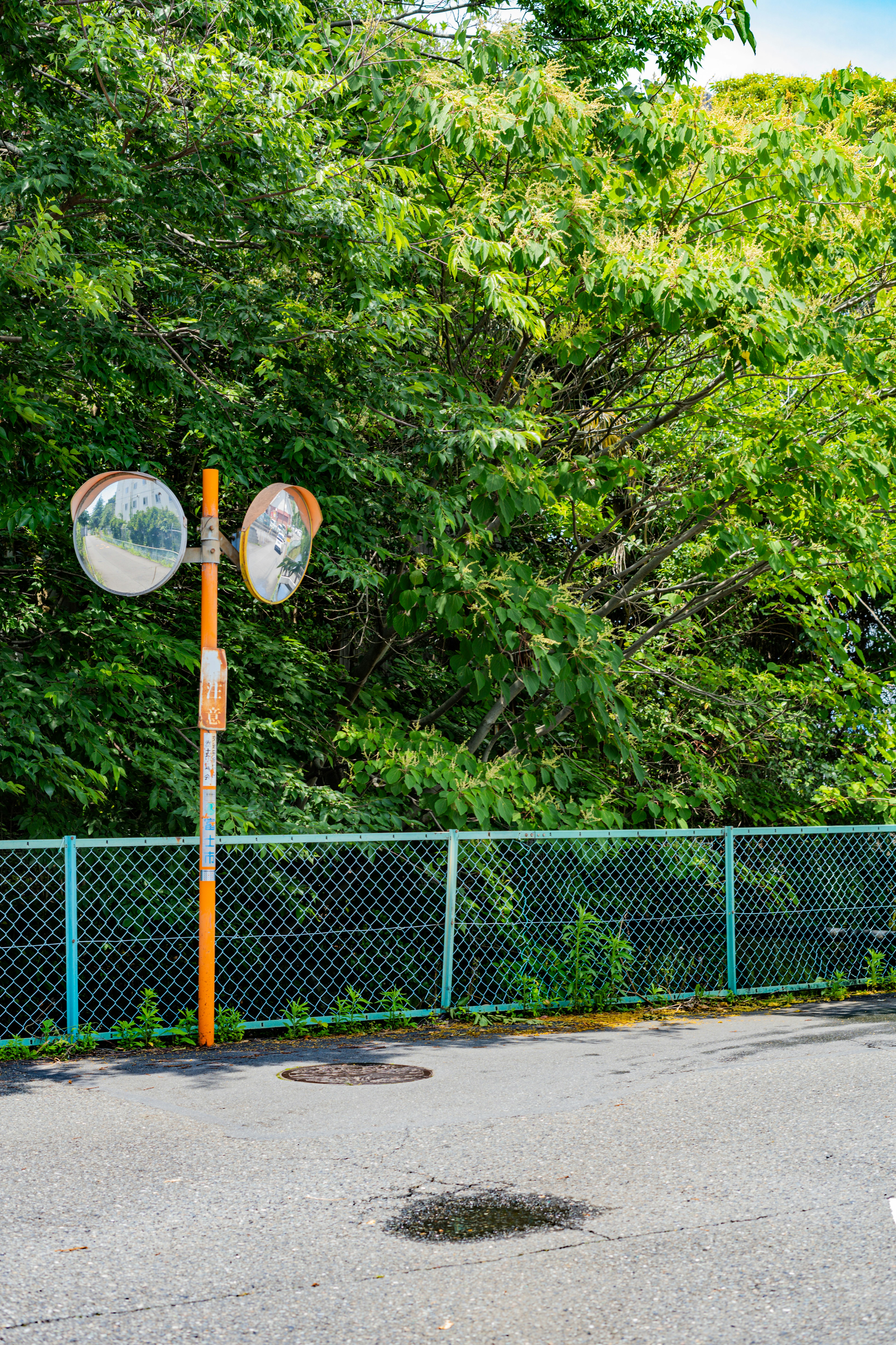 Dual Convex Mirrors on an Orange Post Framing a Green Streetside Scene