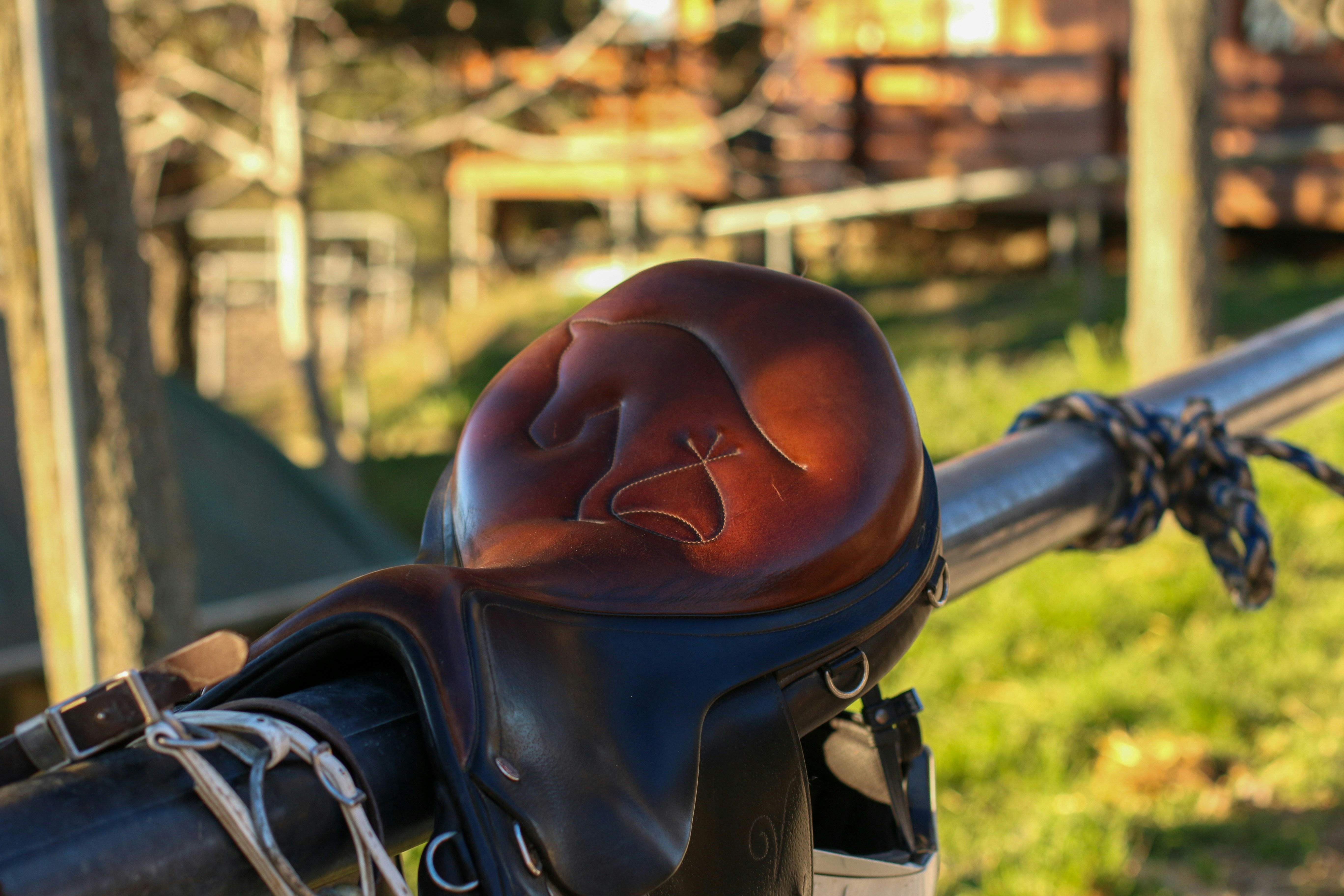 Sunlit Leather Saddle Perched on a Weathered Rail