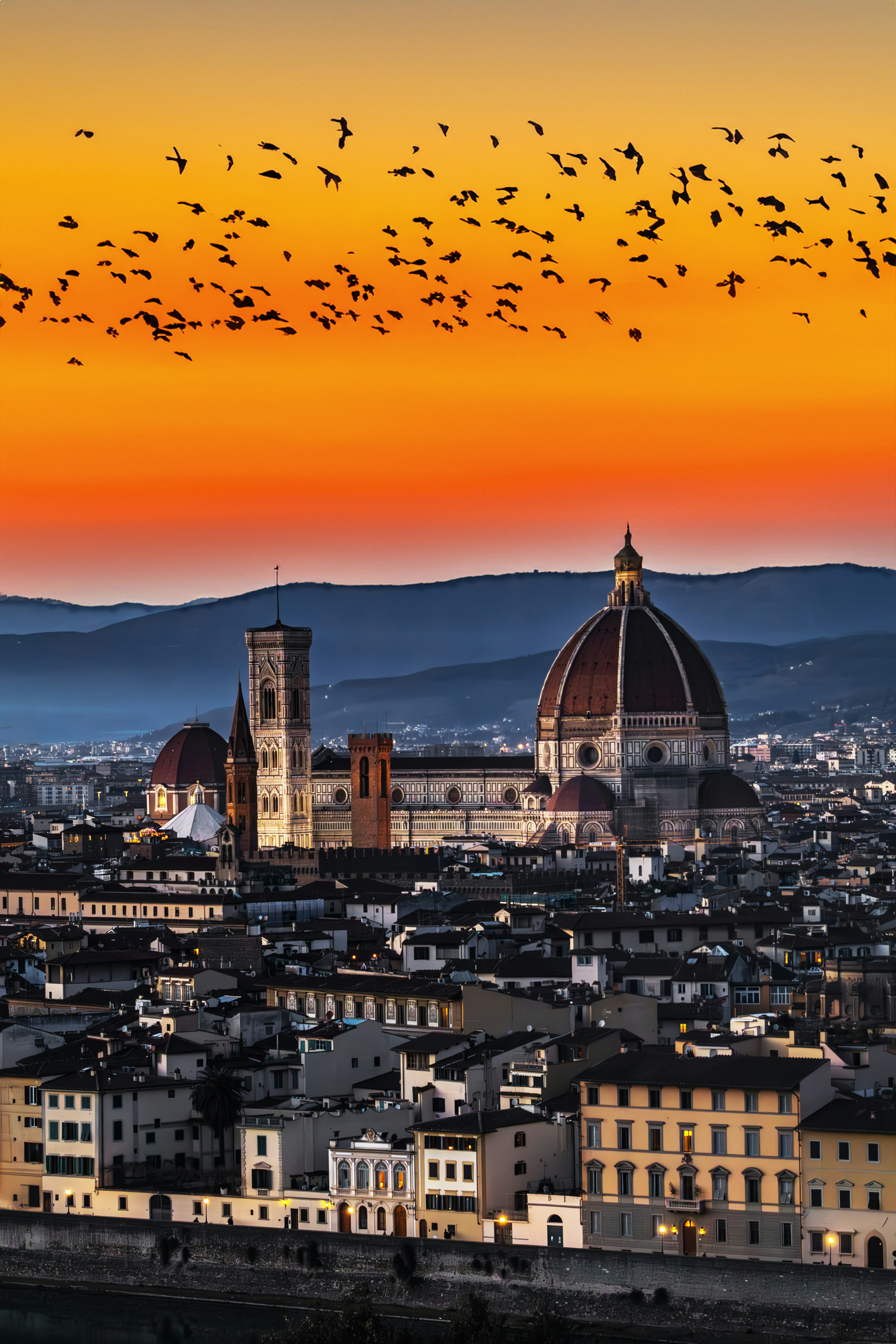 Flock of birds soaring above Florence's iconic cathedral at sunset, with vibrant orange and blue hues in the sky.
