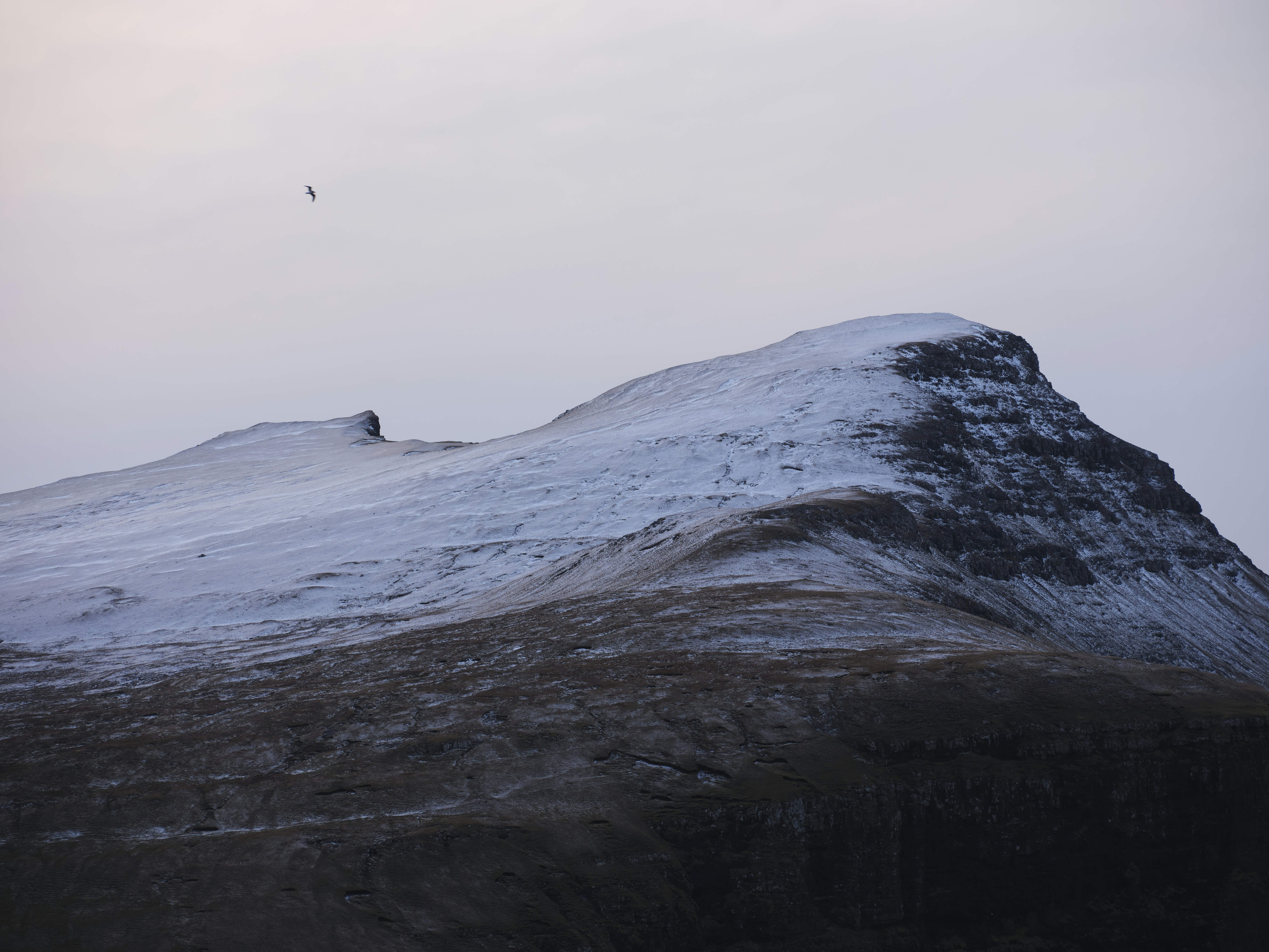 A bird flying over a snow covered mountain photo – Free Faroe islands ...