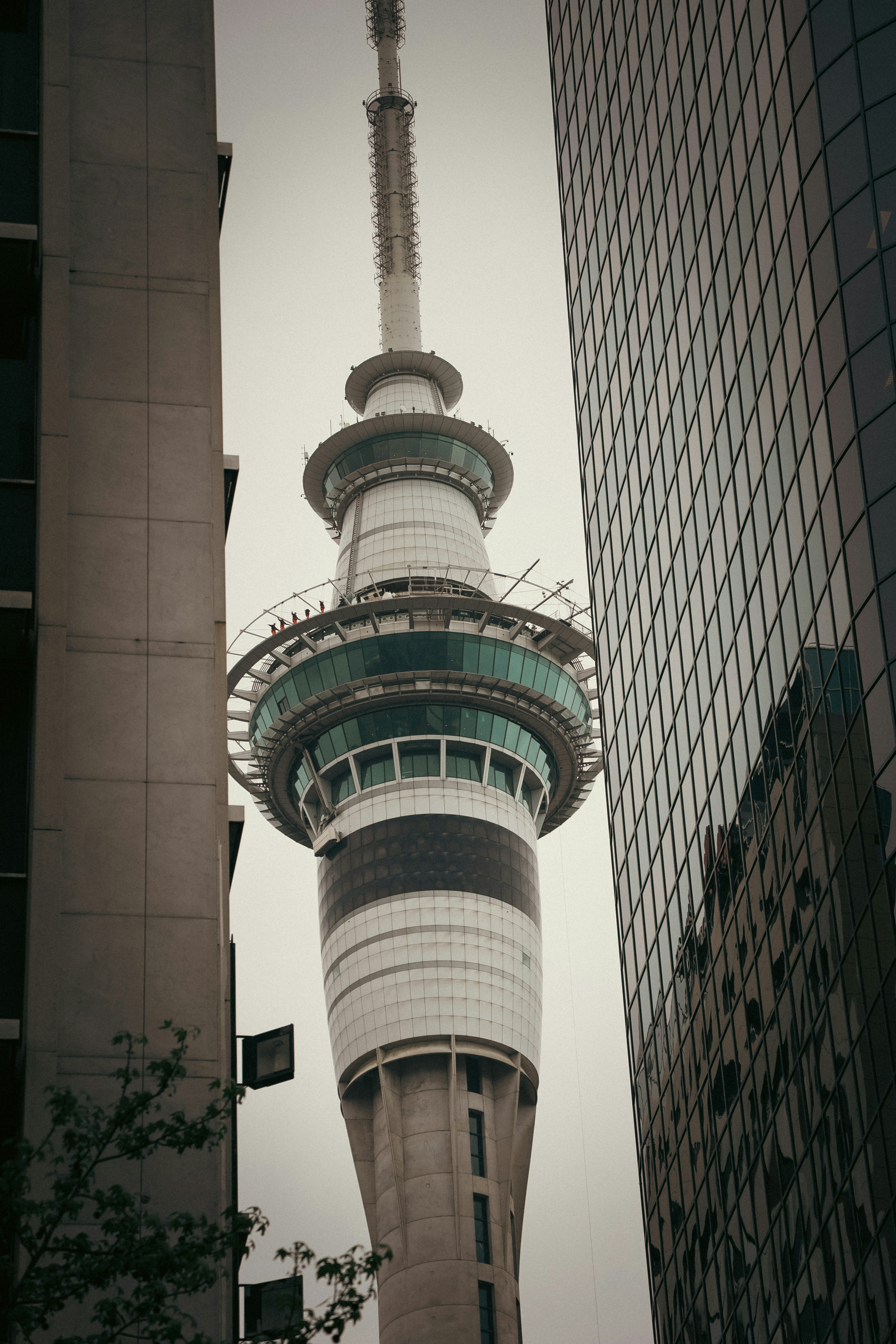 Photo by Larisa Runova with Canon EOS R6