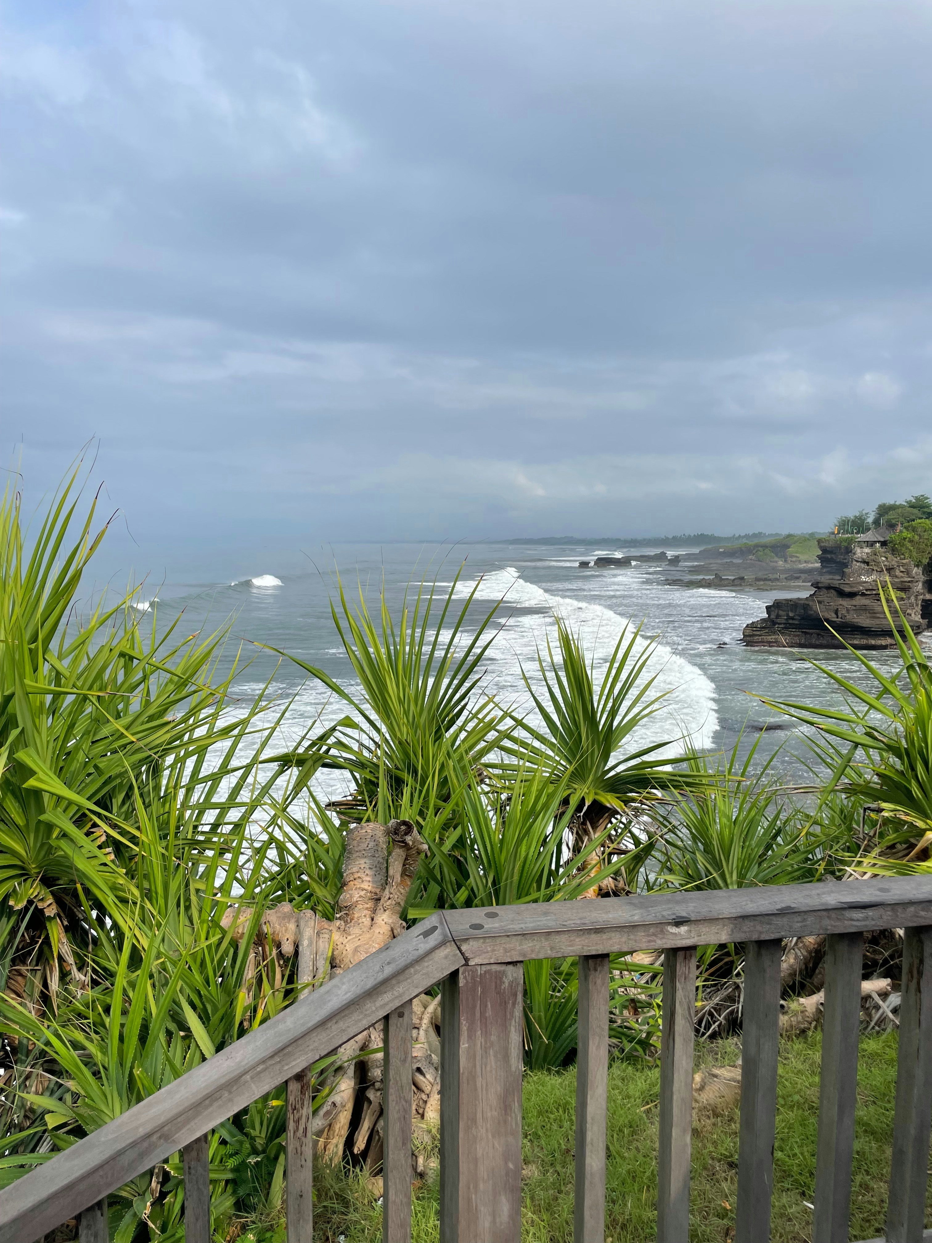 Palm Fronds Framing a Rocky Seaside: Waves Meet the Weathered Shore