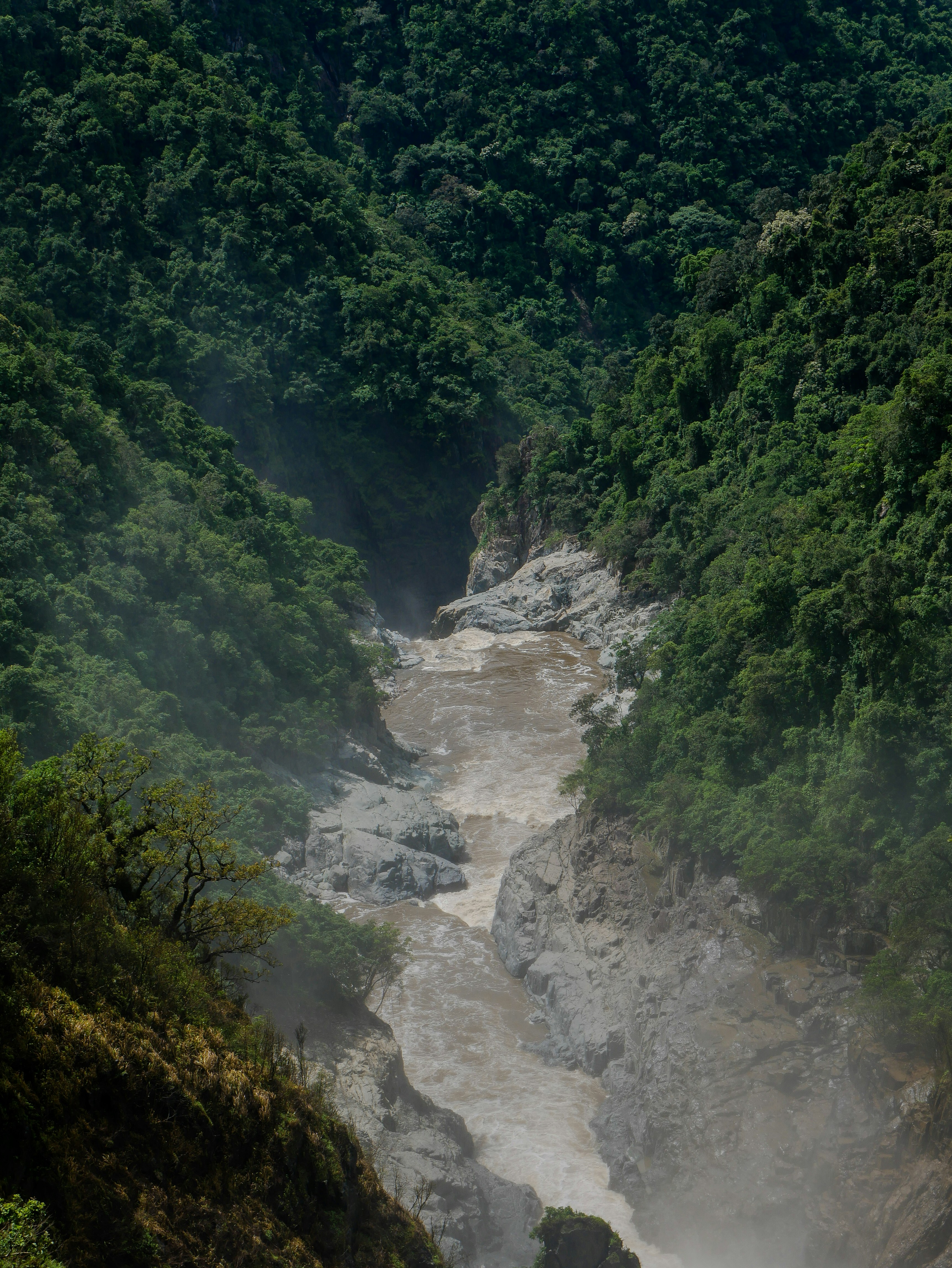 Photo by Stephen Titus with Panasonic Lumix G85