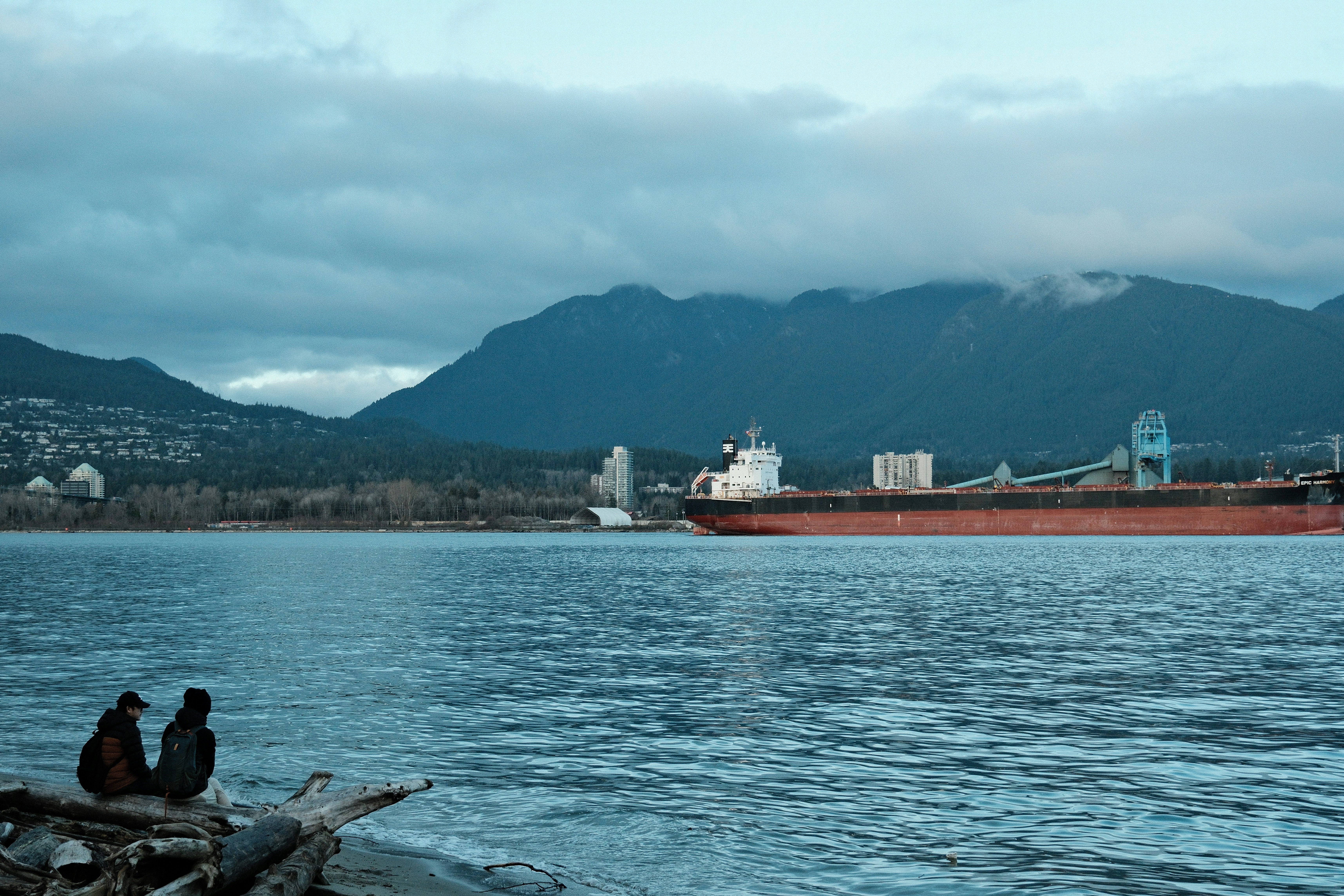 Two Silhouettes on Driftwood as a Cargo Ship Surges Past a Mountain Horizon