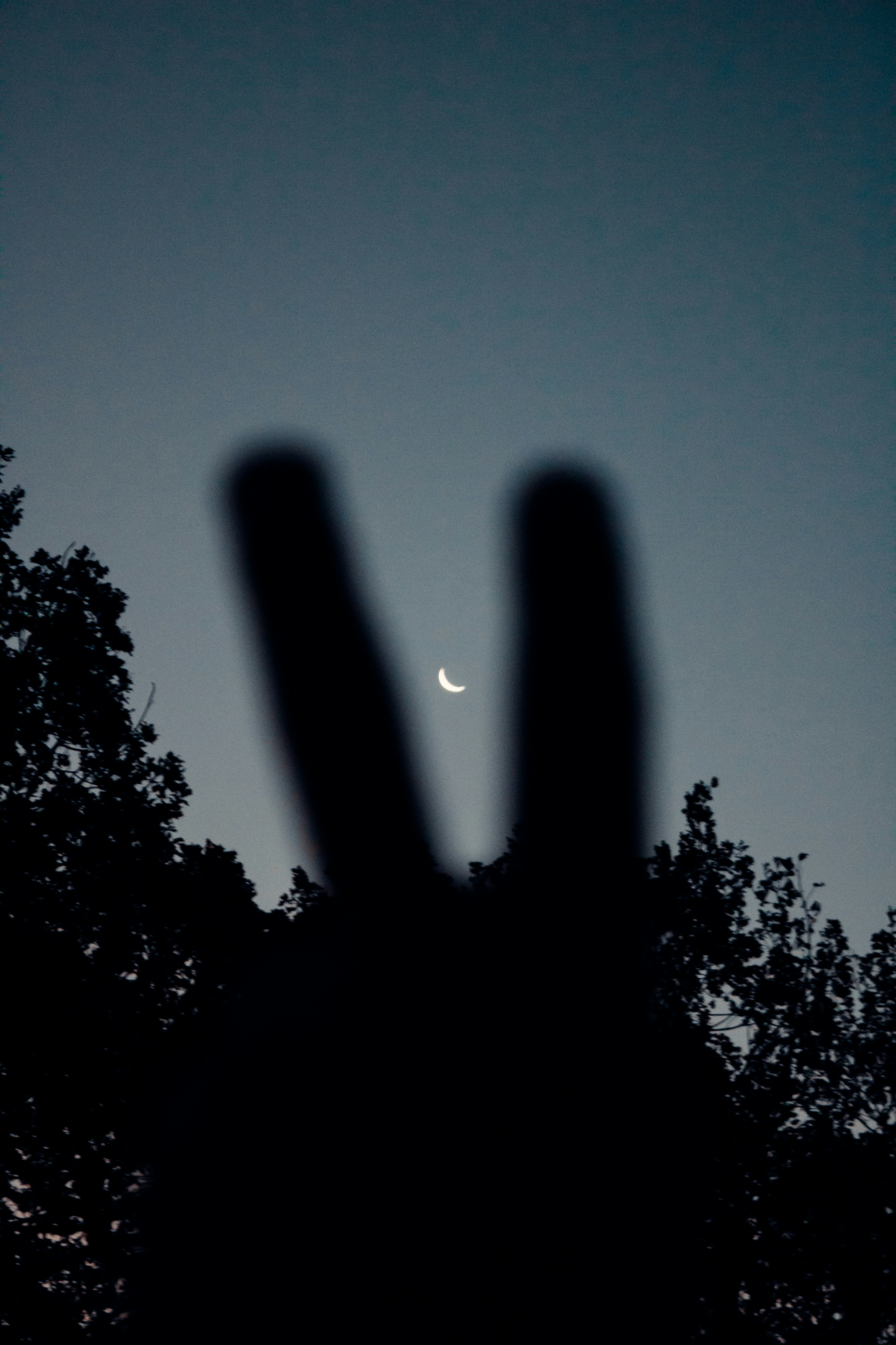 V-Frame Crescent: A Dusk Moon Framed by Hands