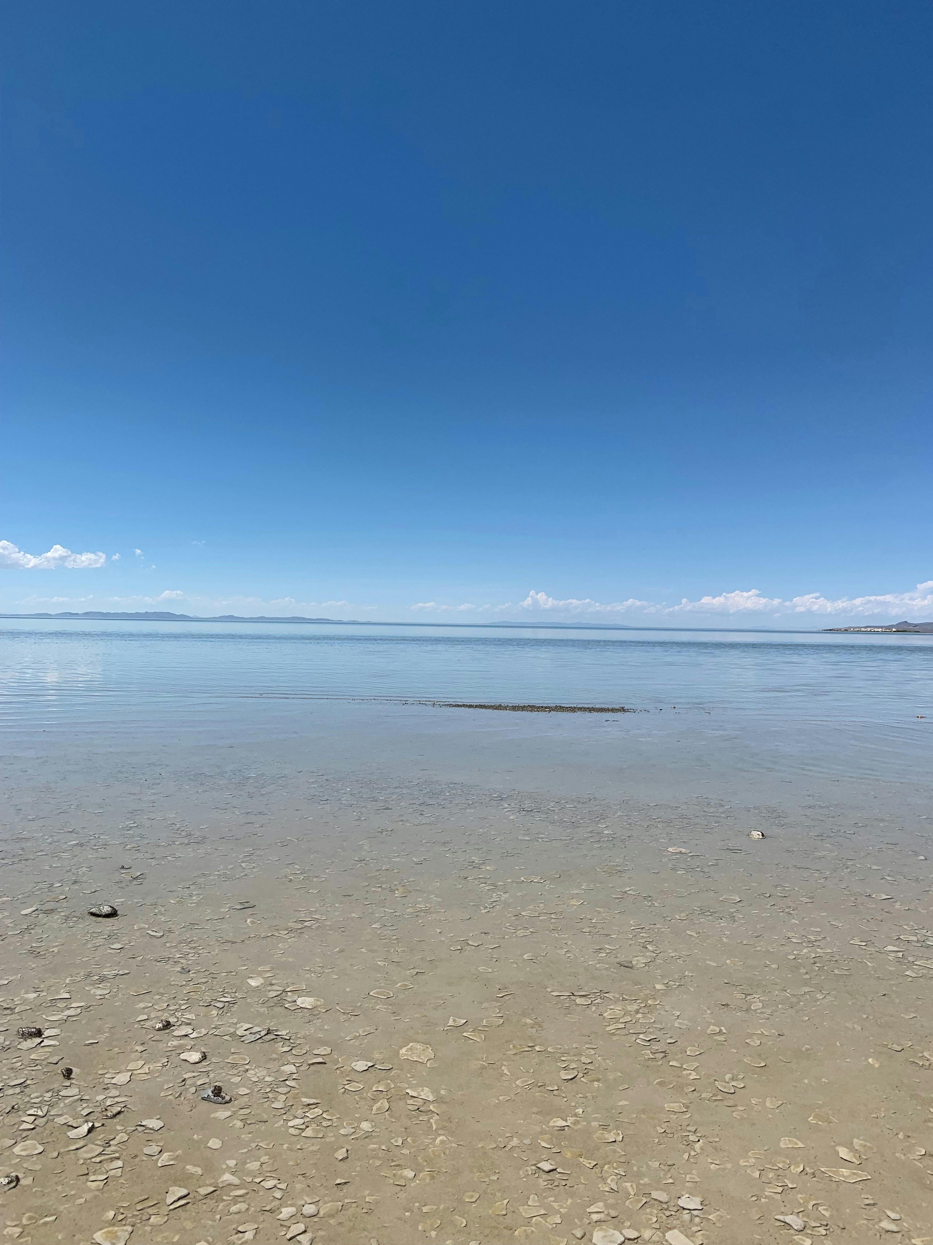 Shell-Strewn Shoreline Under a Cobalt Sky: A Quiet Horizon Study