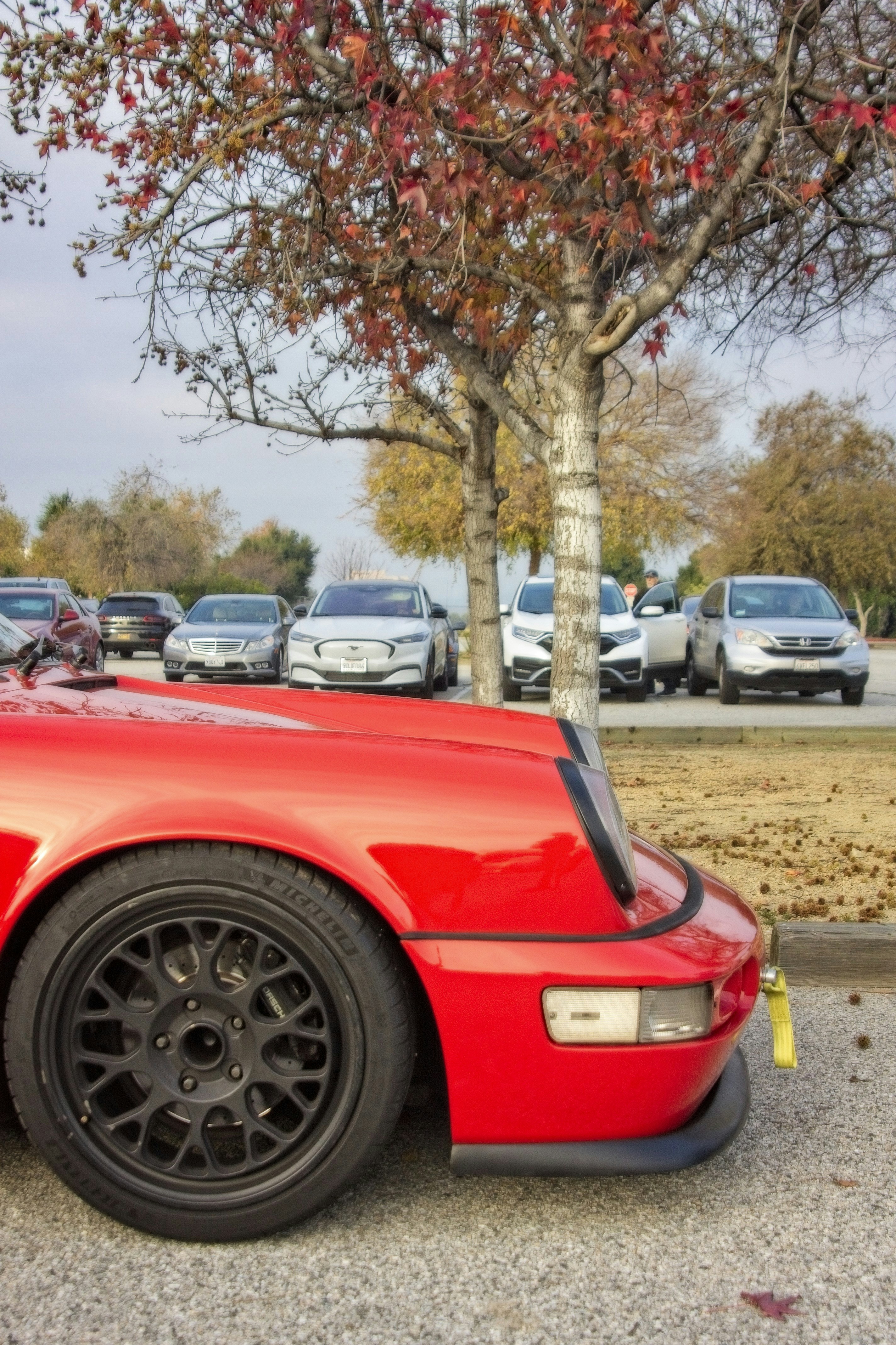 A red sports car parked next to a tree photo – Free Spoke Image on Unsplash