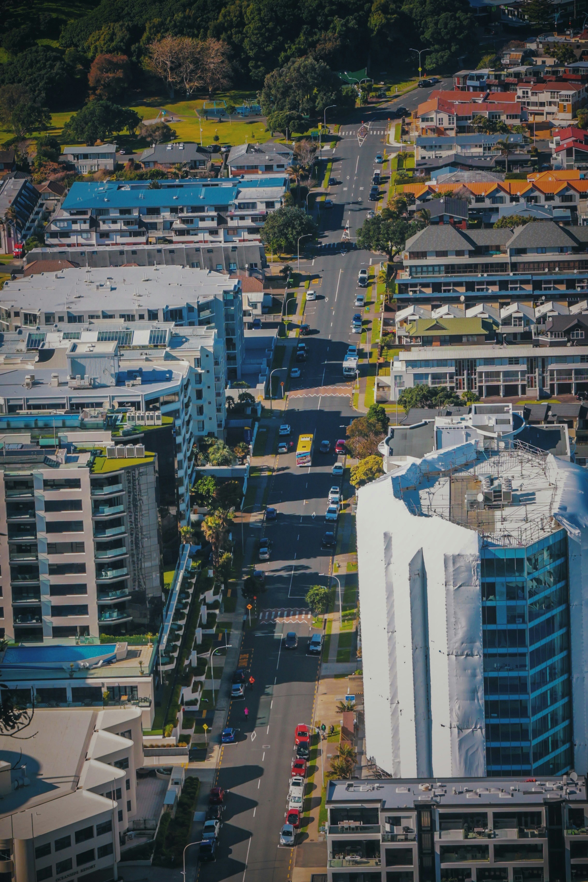 Midtown Avenue: Aerial Portrait of a Sunlit City Block