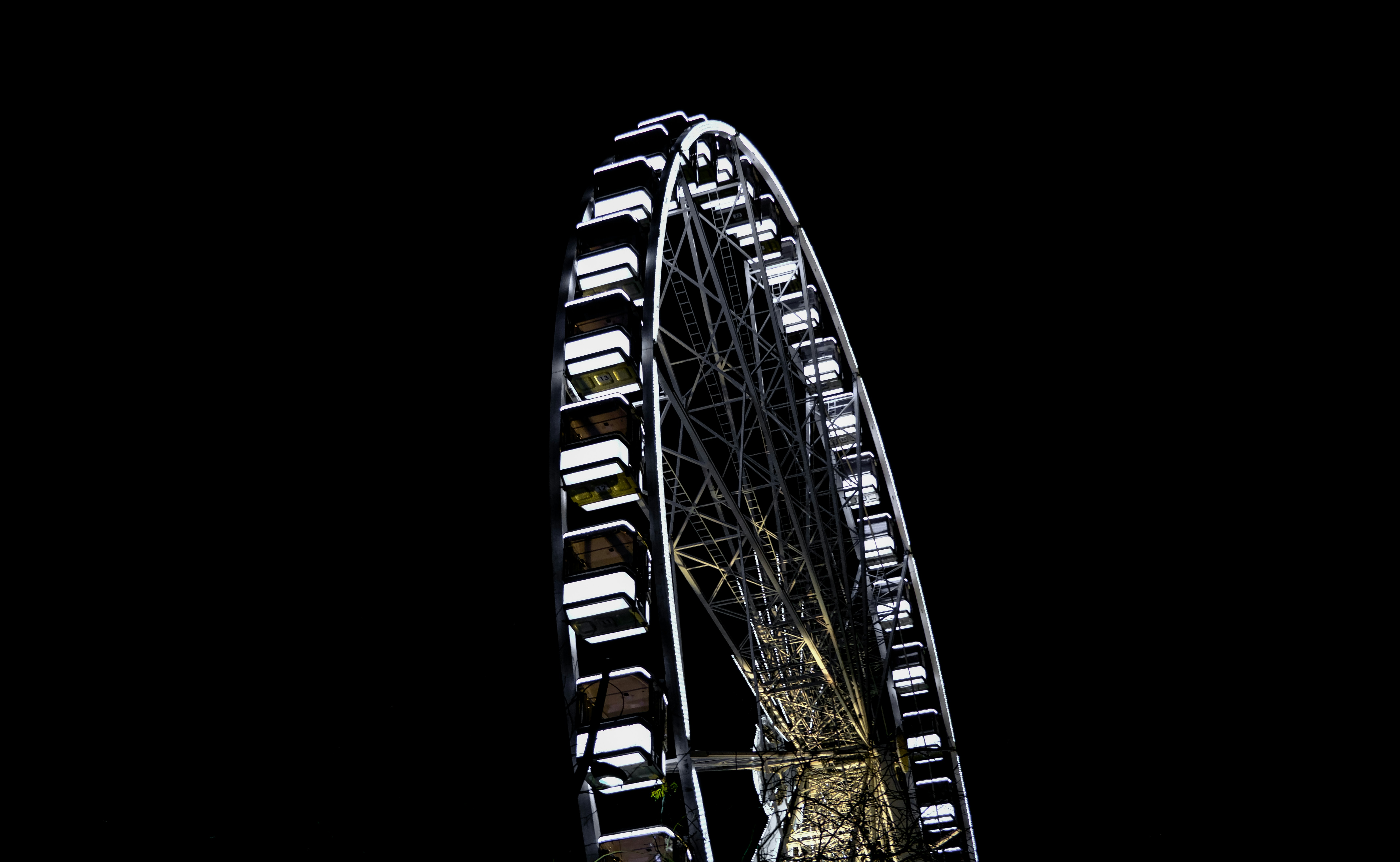 Photo by Sarah Sheedy with Fujifilm X-T5