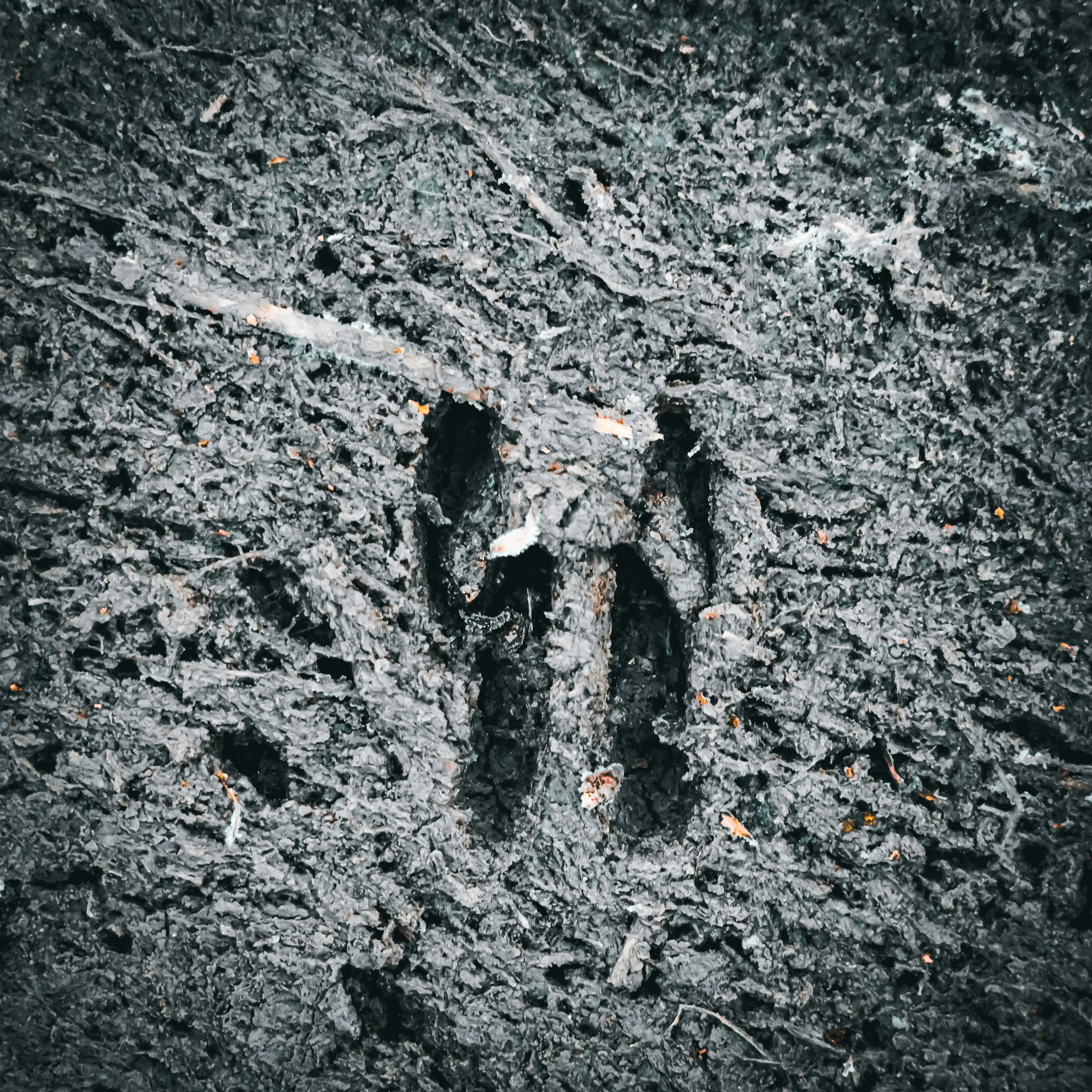 Centered footprints in desaturated mud