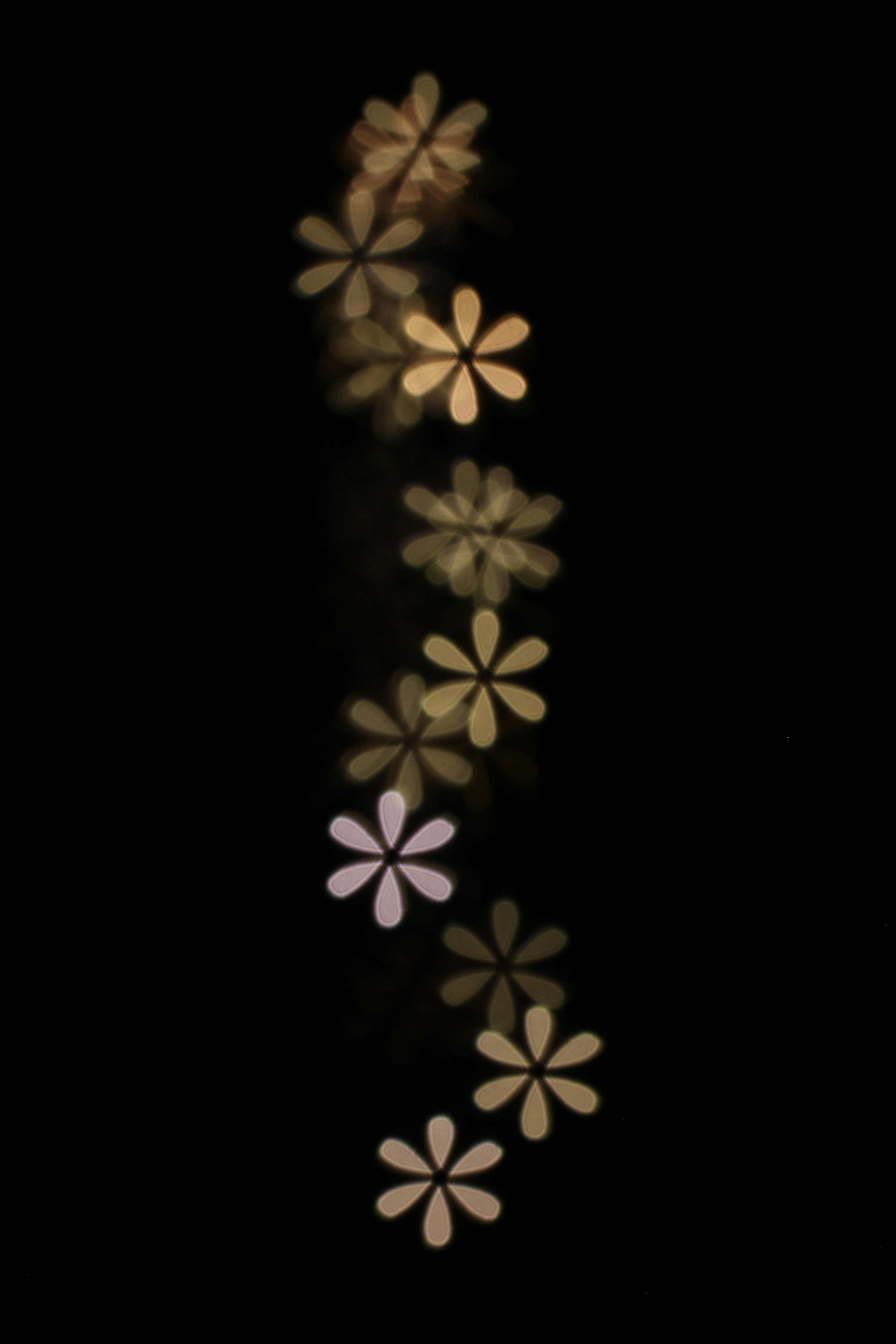 Petal Lanterns in the Night: A Vertical Bokeh Parade