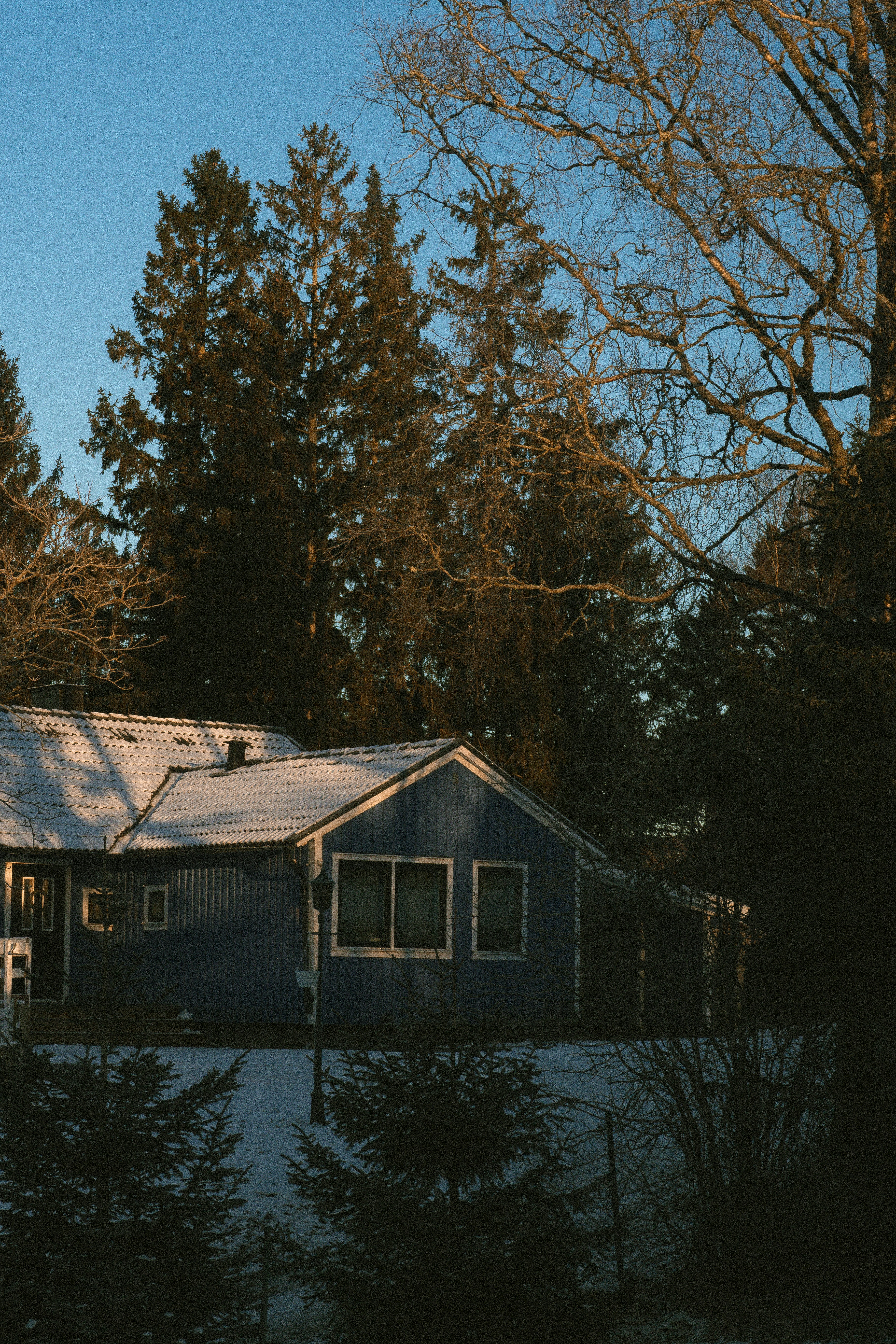 Blue Cottage in Winter Quiet: Snow, Sky, and Silent Pines