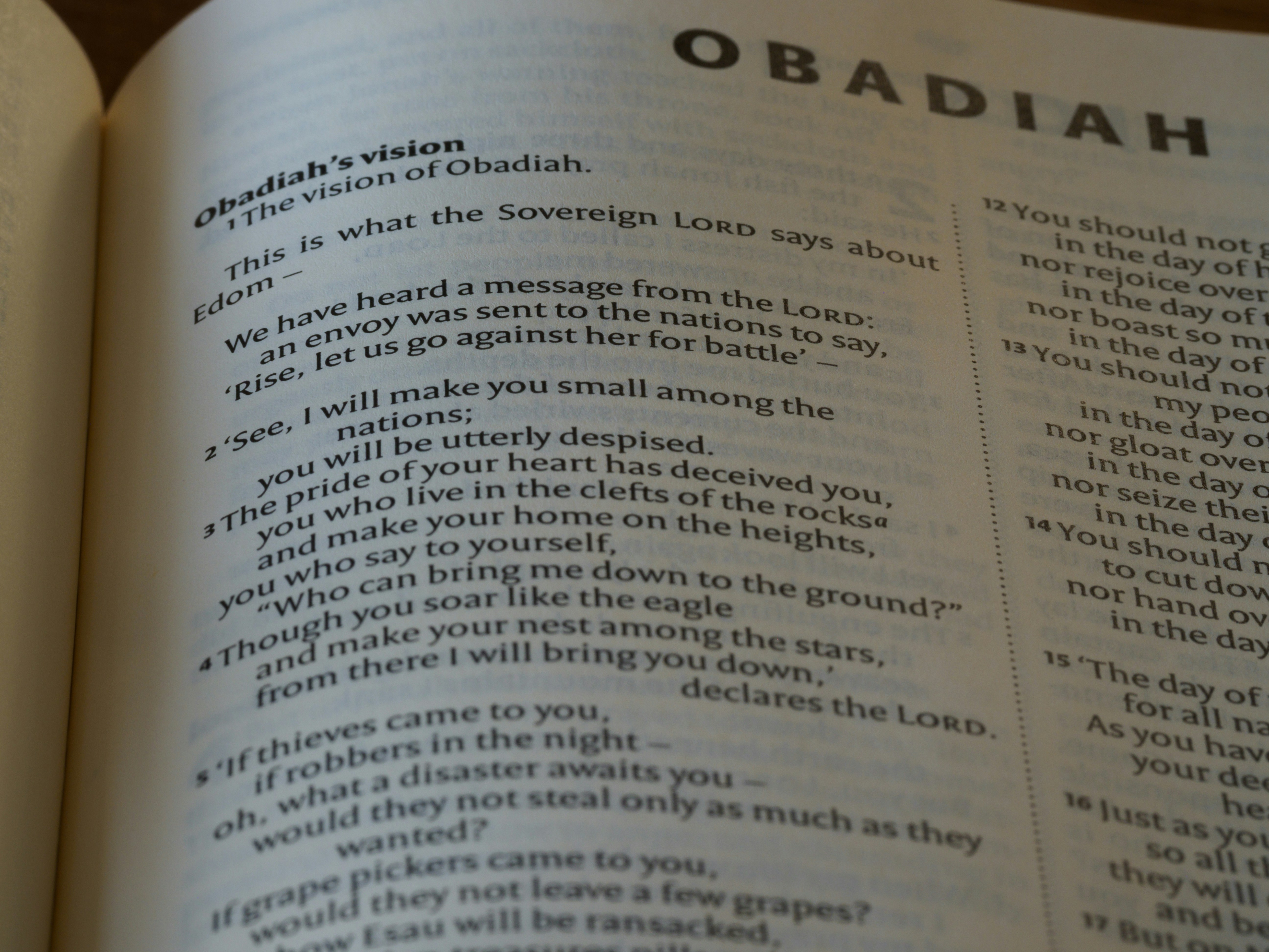 A close up of an open book with text photo – Free Book Image on Unsplash