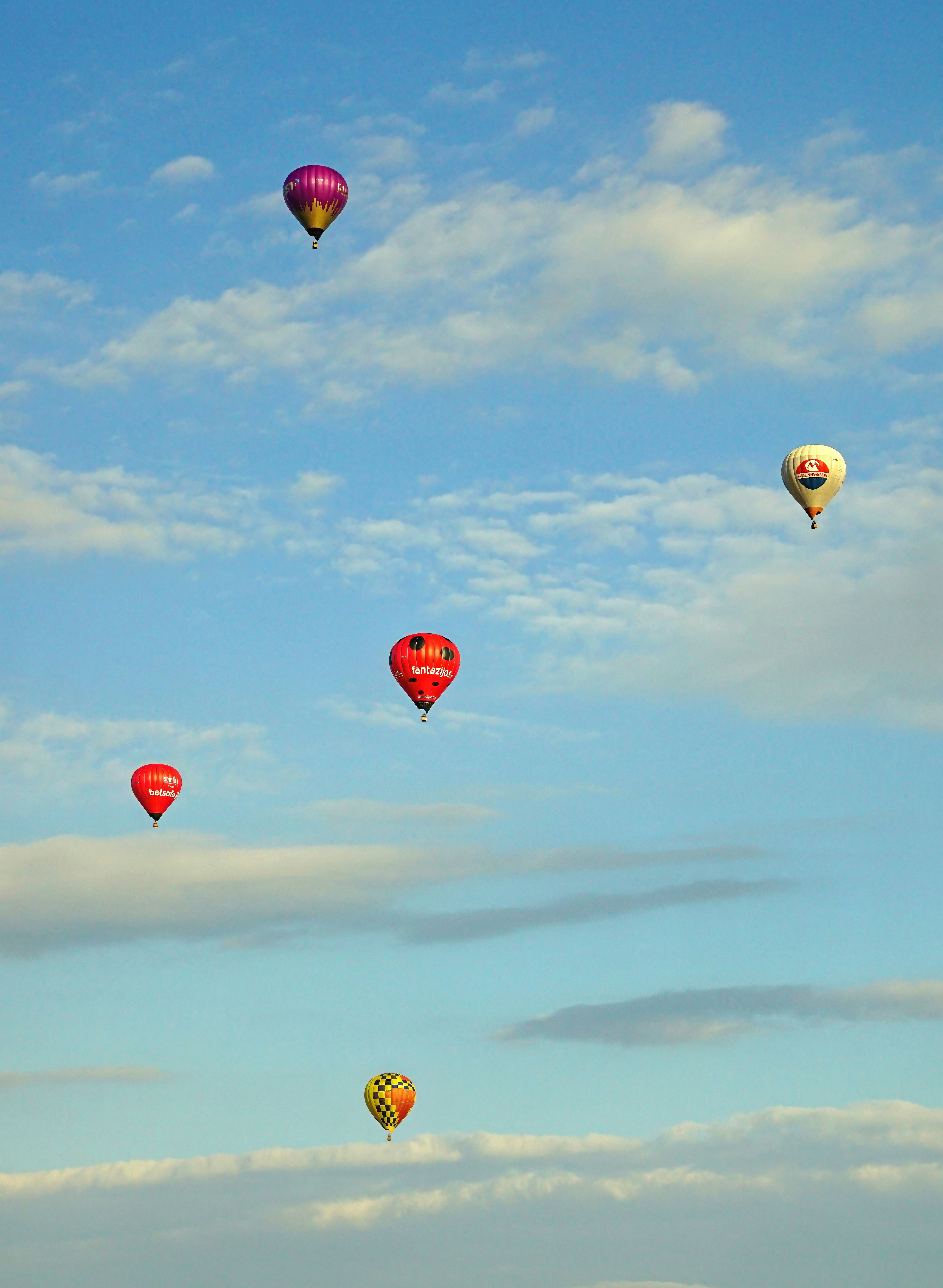 Skybound Parade: A Kite of Color over the Open Blue