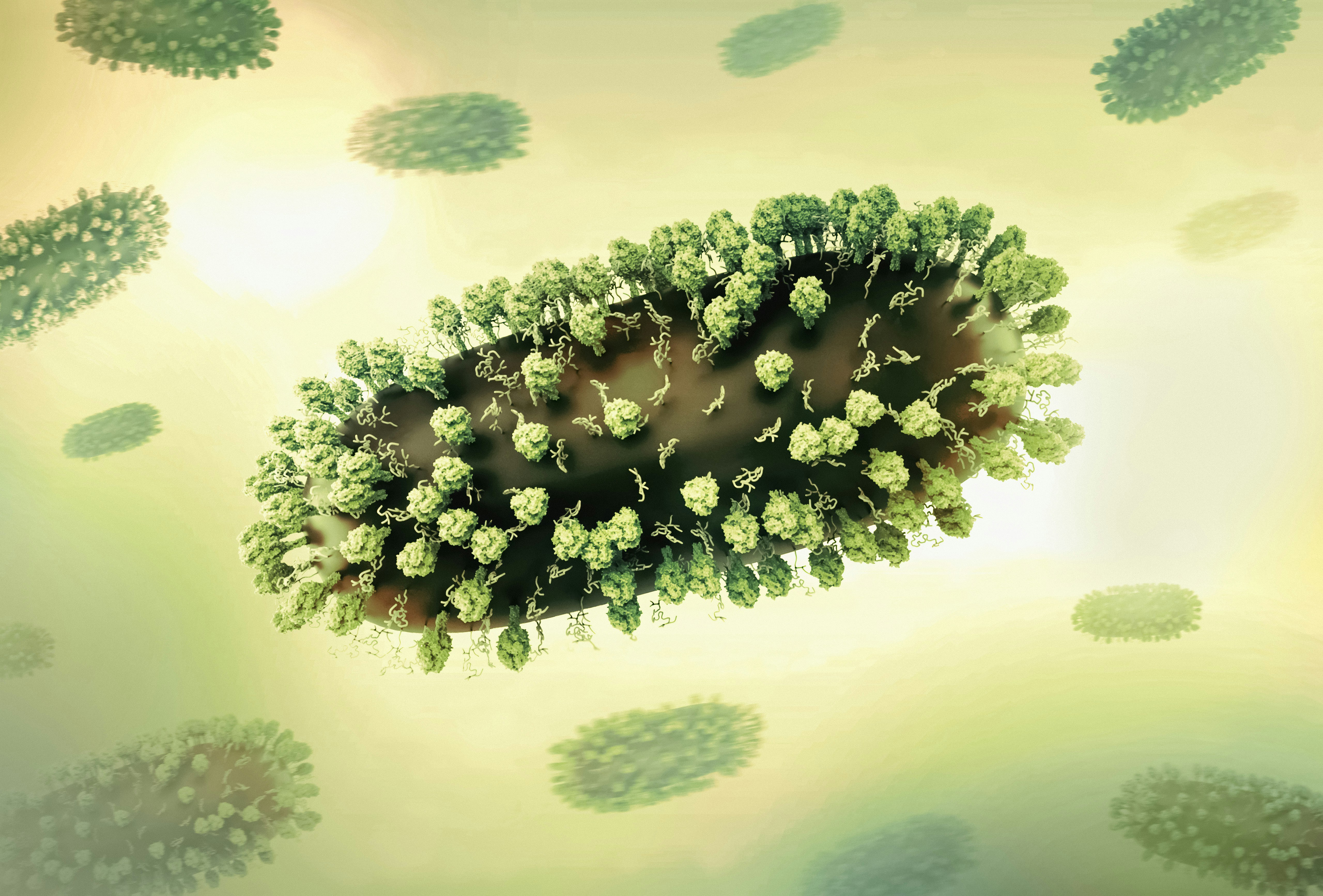 An aerial view of a bunch of green plants photo – Free Pathogen Image ...