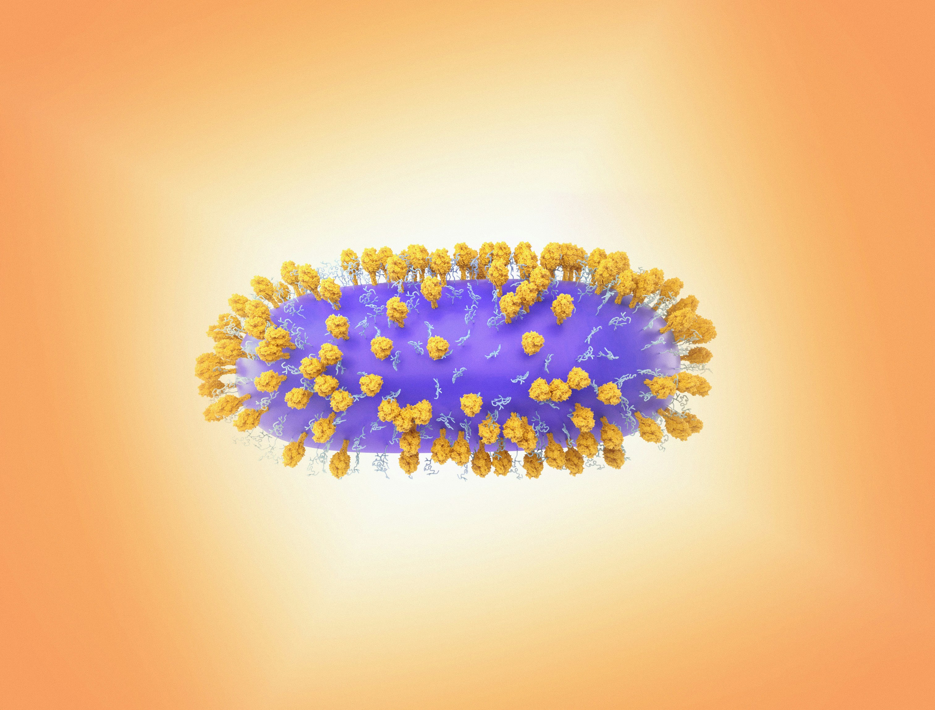 What Happened at This Week's ACIP Meeting