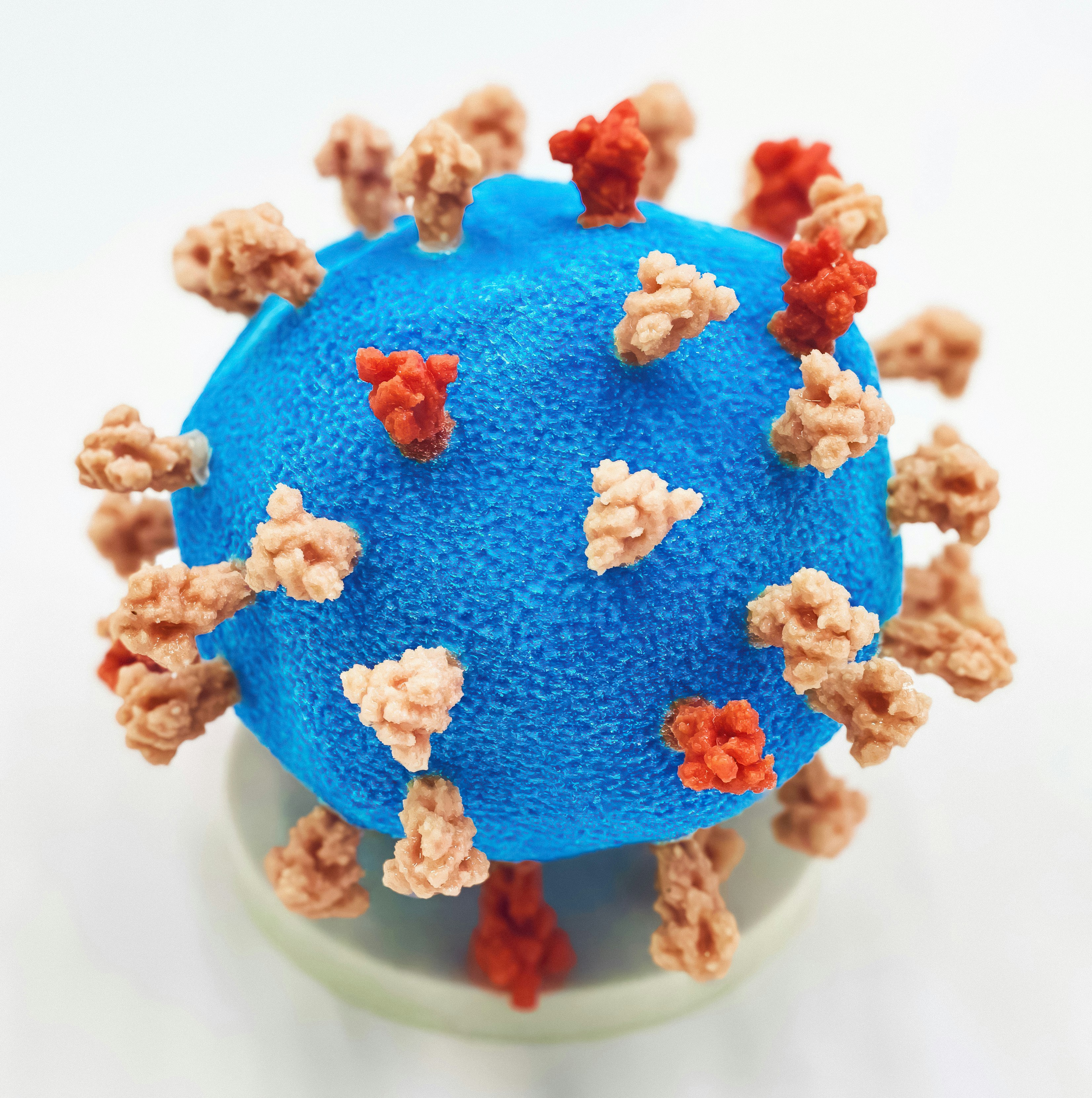 A close up of a blue ball of food photo – Free Pathogen Image on Unsplash