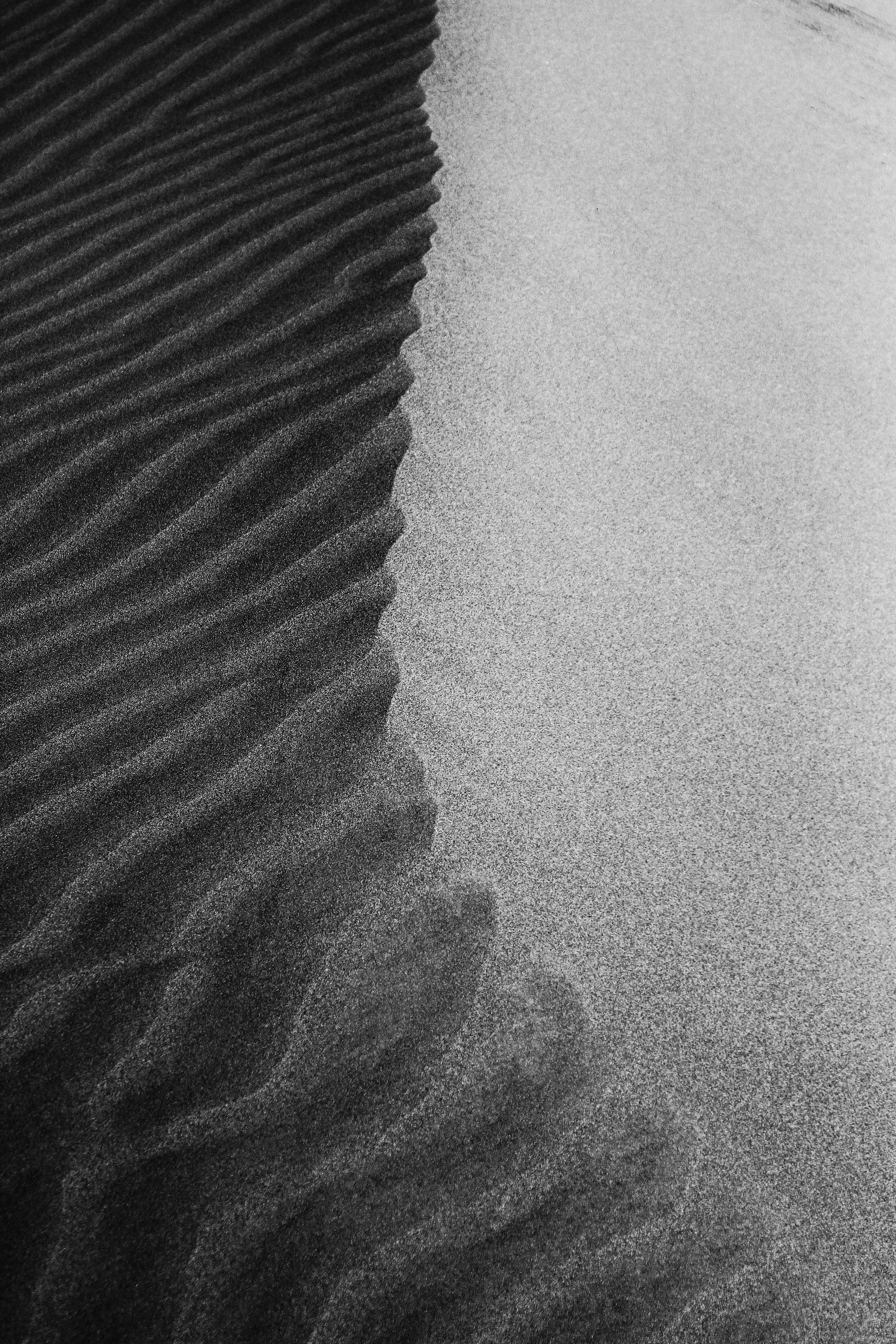 A black and white photo of a sand dune photo – Free Sand Image on Unsplash